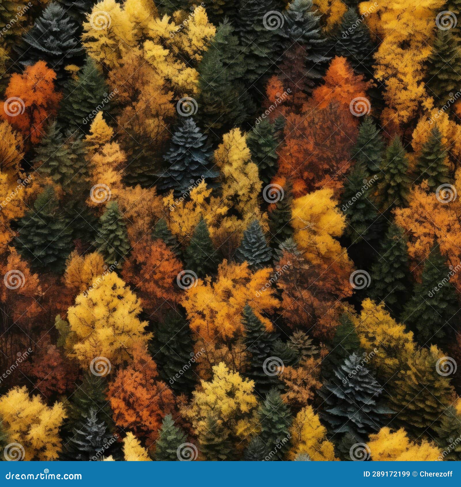 Seamless. Top View of the Autumn Forest Stock Image - Image of park ...