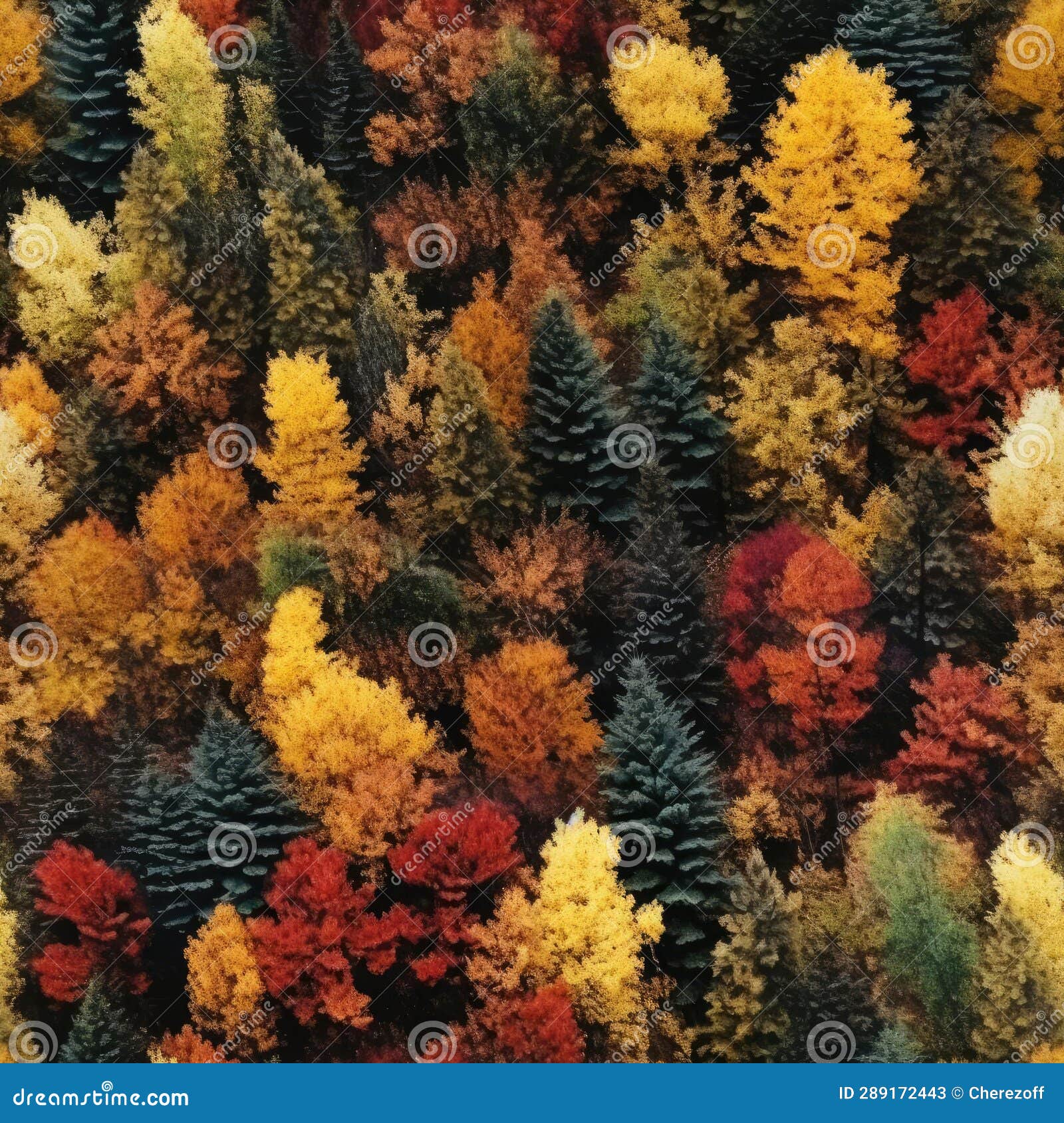 Seamless. Top View of the Autumn Forest Stock Image - Image of ...