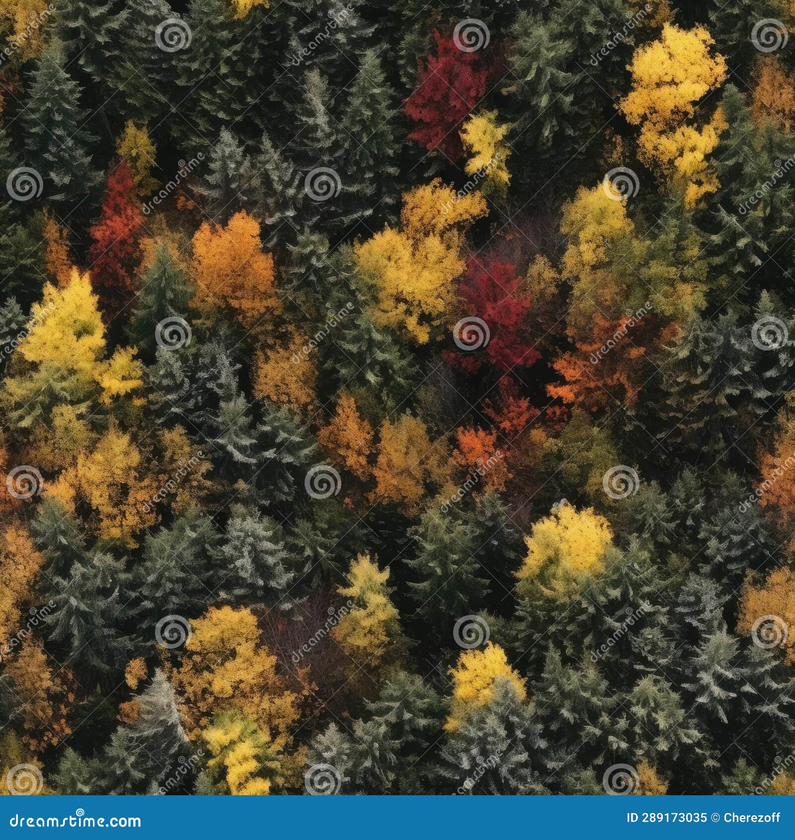Seamless. Top View of the Autumn Forest Stock Image - Image of fall ...