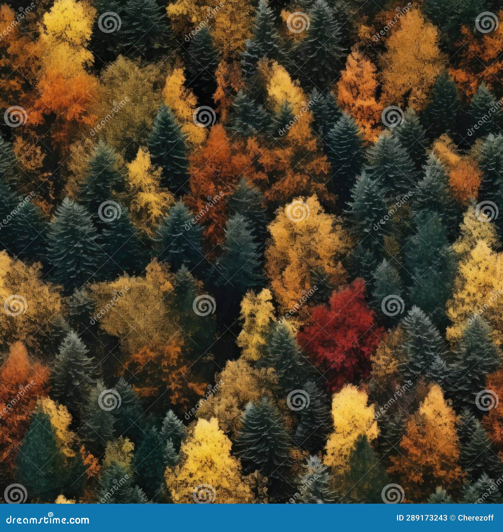 Seamless. Top View of the Autumn Forest Stock Image - Image of tree ...