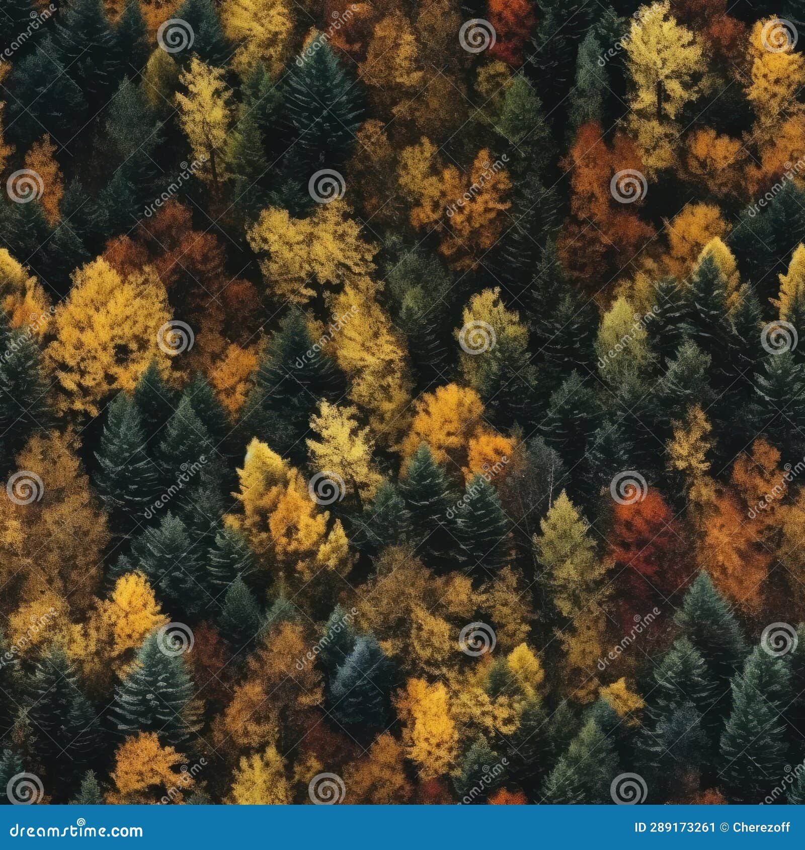 Seamless. Top View of the Autumn Forest Stock Image - Image of forest ...
