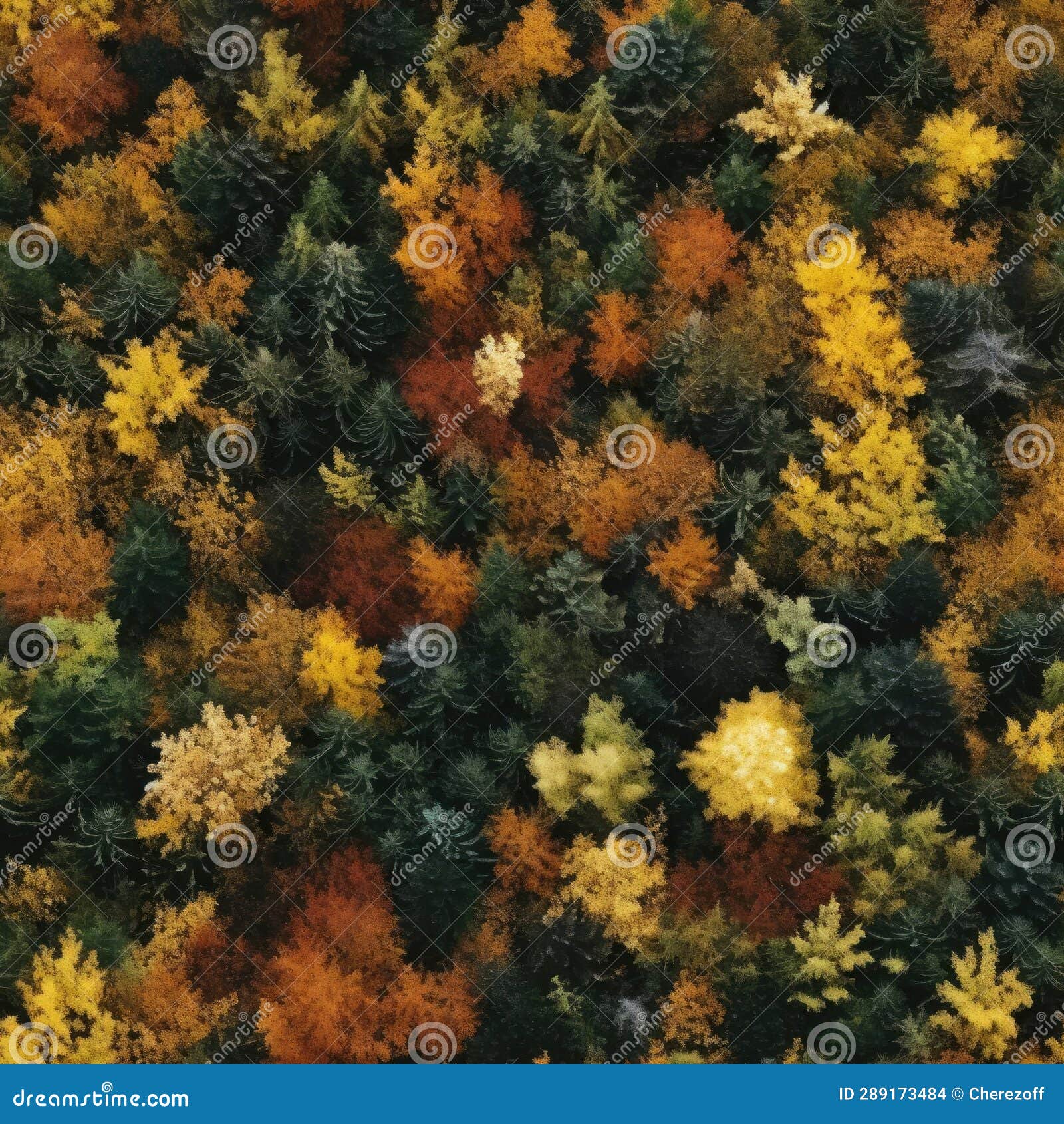 Seamless. Top View of the Autumn Forest Stock Photo - Image of leaf ...