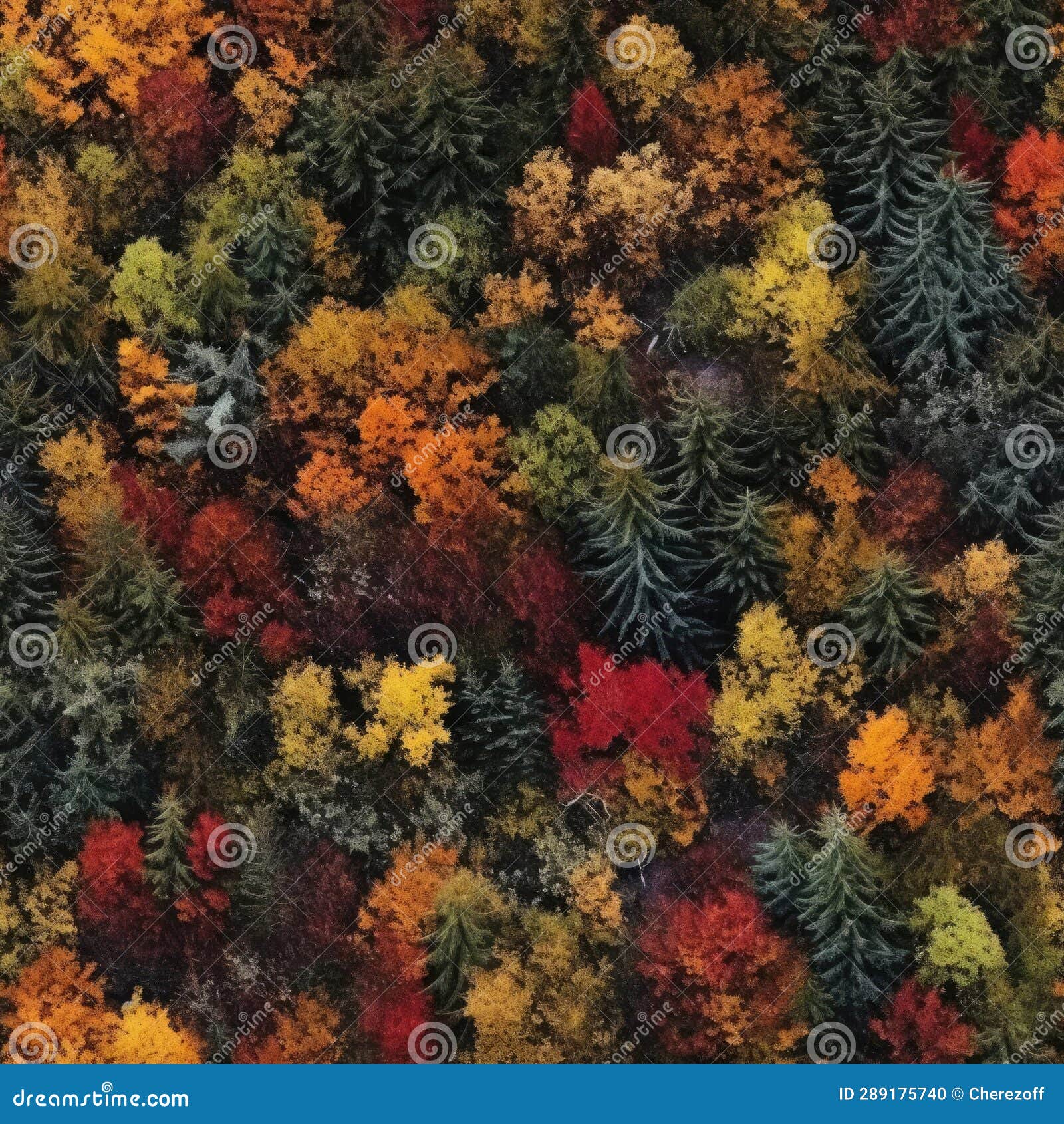 Seamless. Top View of the Autumn Forest Stock Illustration ...