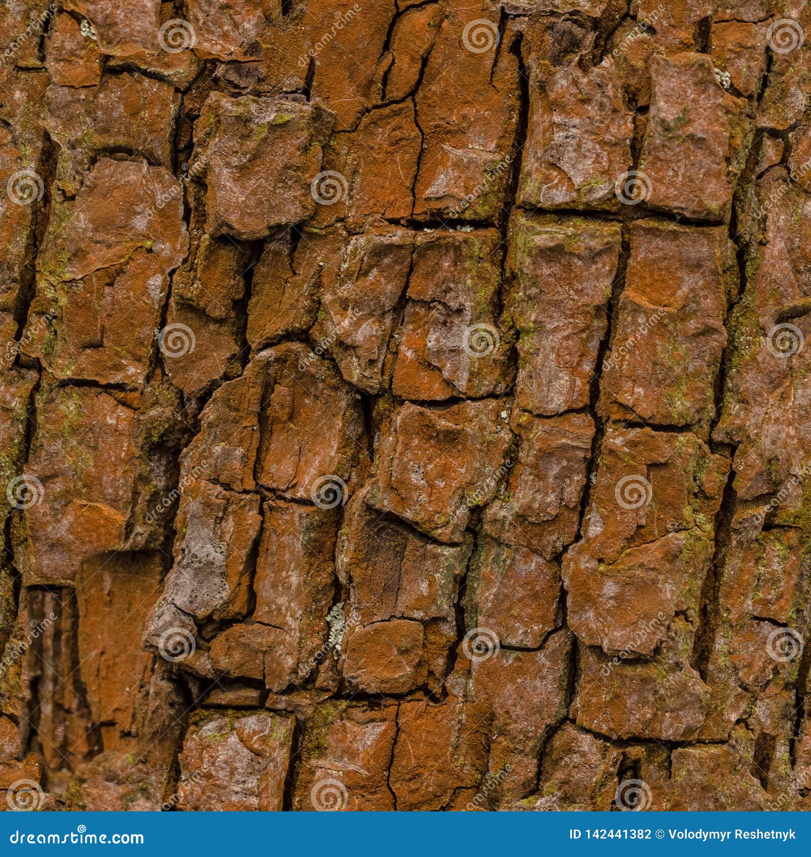 Seamless Tree Bark Background. Brown Tileable Texture of the Old Tree ...