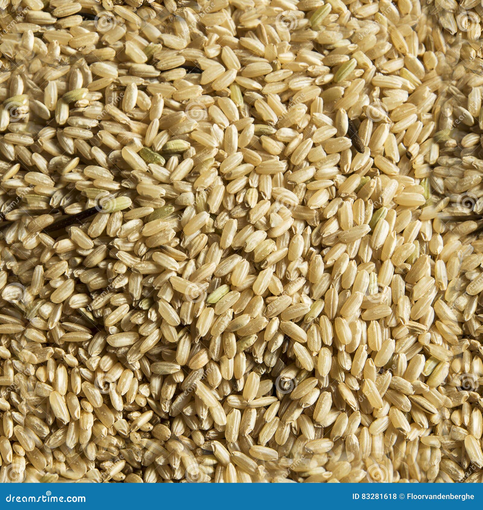 Seamless Uncooked Rice Texture Royalty-Free Stock Image | CartoonDealer ...
