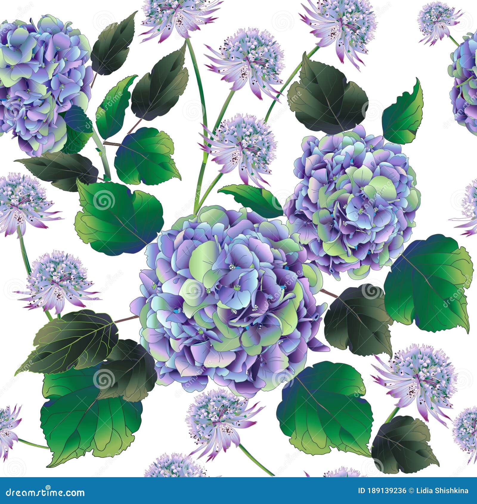 Blue Beautiful Hydrangea on a White Background. Stock Vector ...