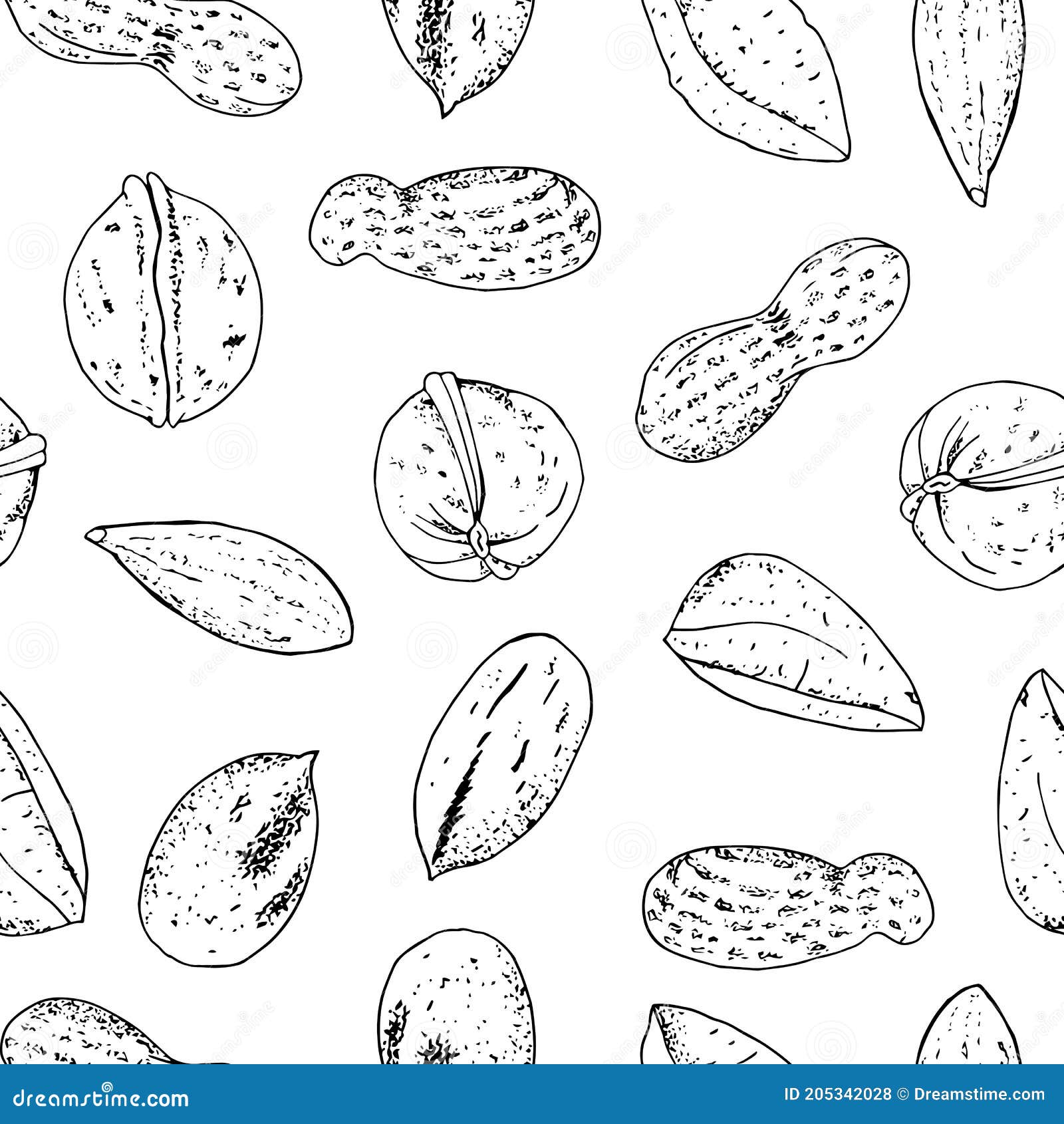 Seamless Vector Nuts Pattern. Outline Hand Drawn Illustration. Black ...