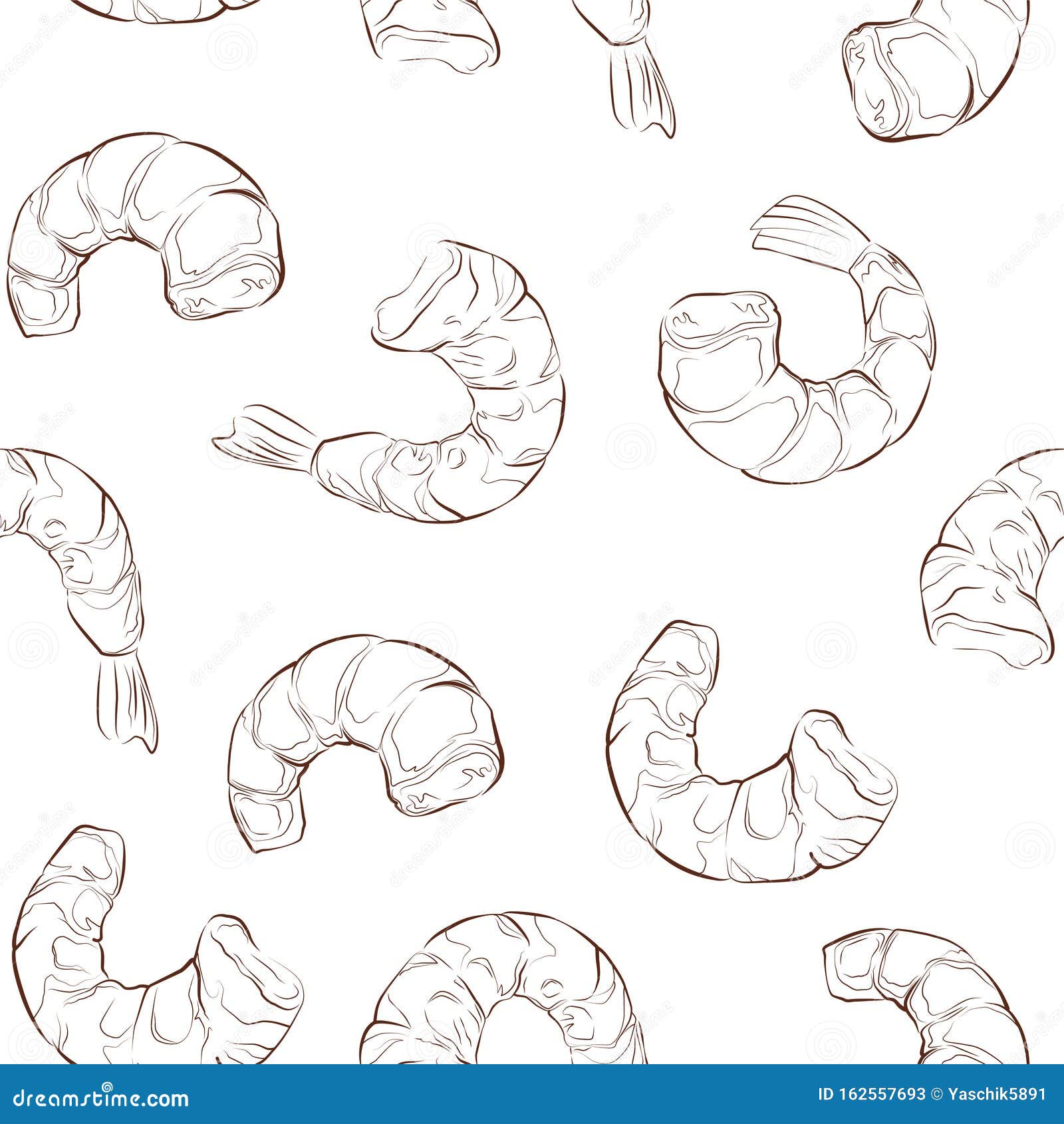 Seamless Vector Pattern Of Hand Drawn Shrimp On A White Background ...