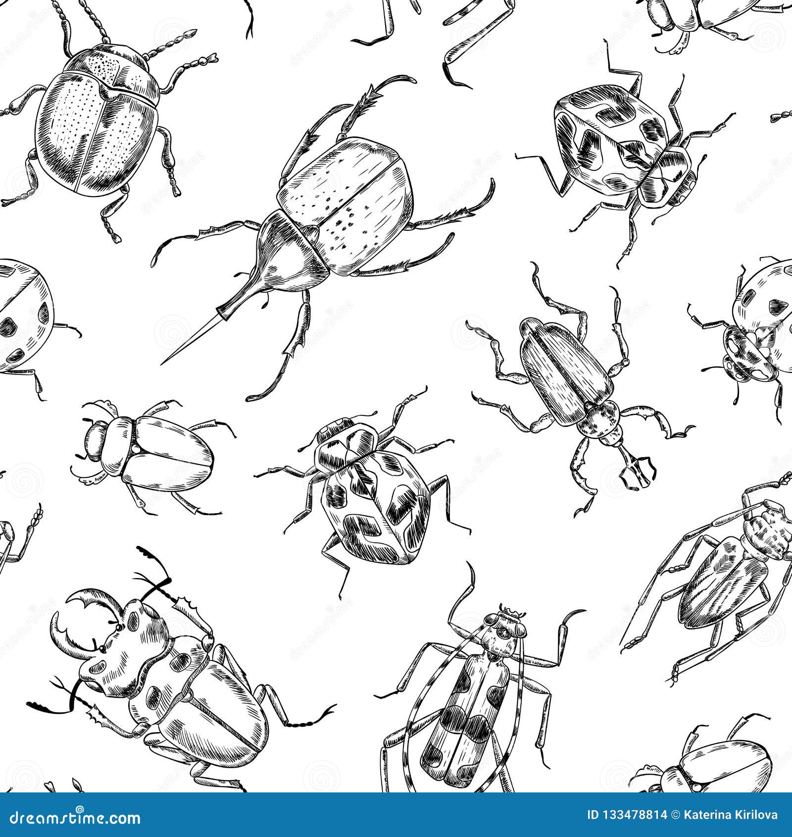 Beetles Seamless Hand Drawn Pattern Stock Vector - Illustration of ... Beetles Seamless Hand Drawn Pattern Stock Vector - Illustration of ...