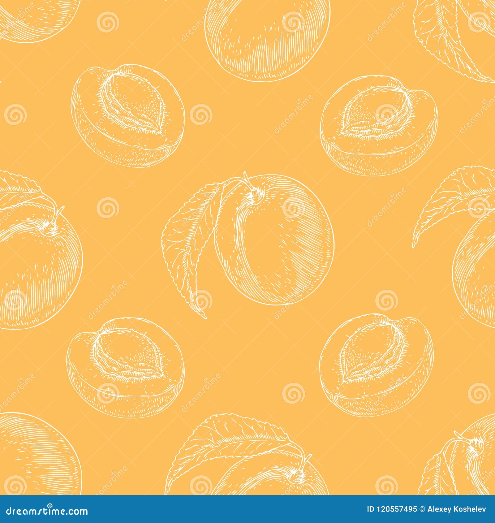 Seamless Pattern with Apricot Stock Vector - Illustration of apricot ...