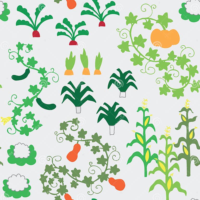 Seamless Vegetable Garden Pattern Stock Illustration - Illustration of ...