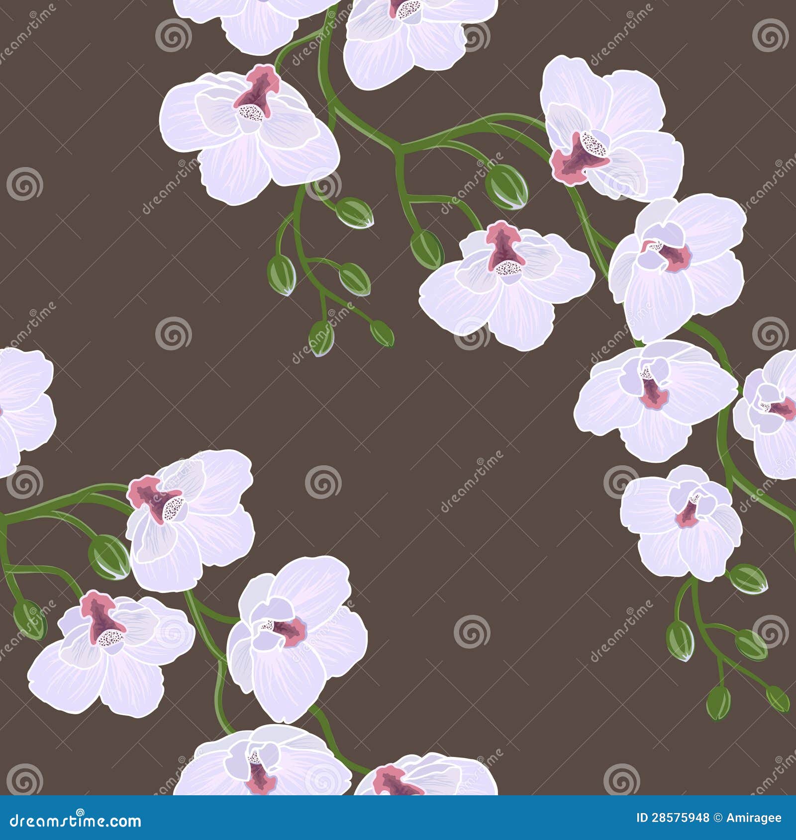 Seamless Wallpaper With Orchid Flowers Stock Vector Illustration Of