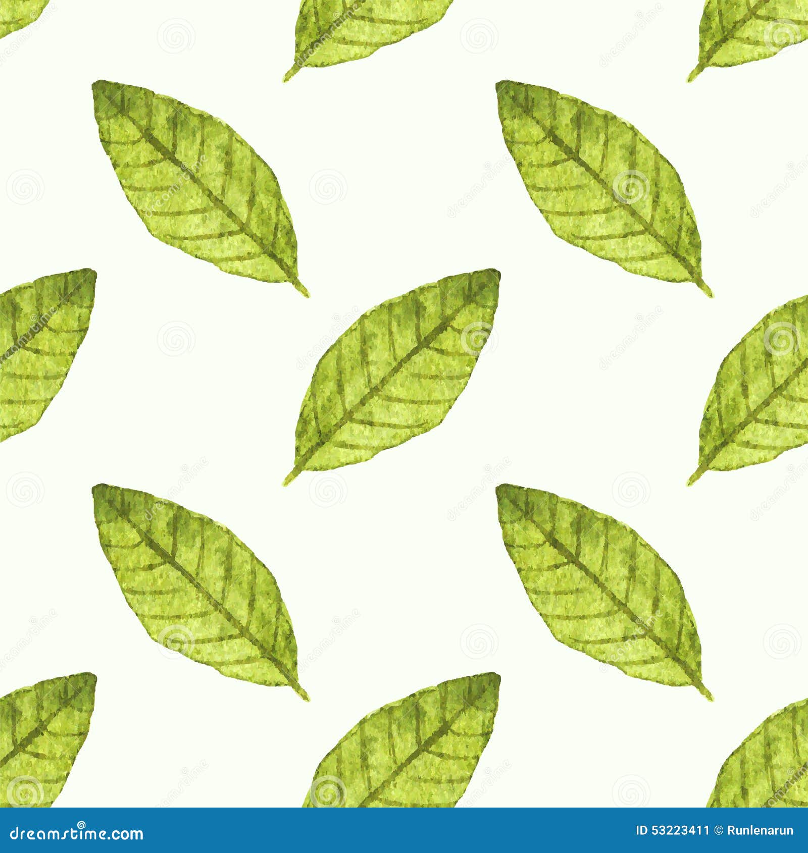 Seamless Watercolor Pattern with Bayleaf on the Stock Vector ...