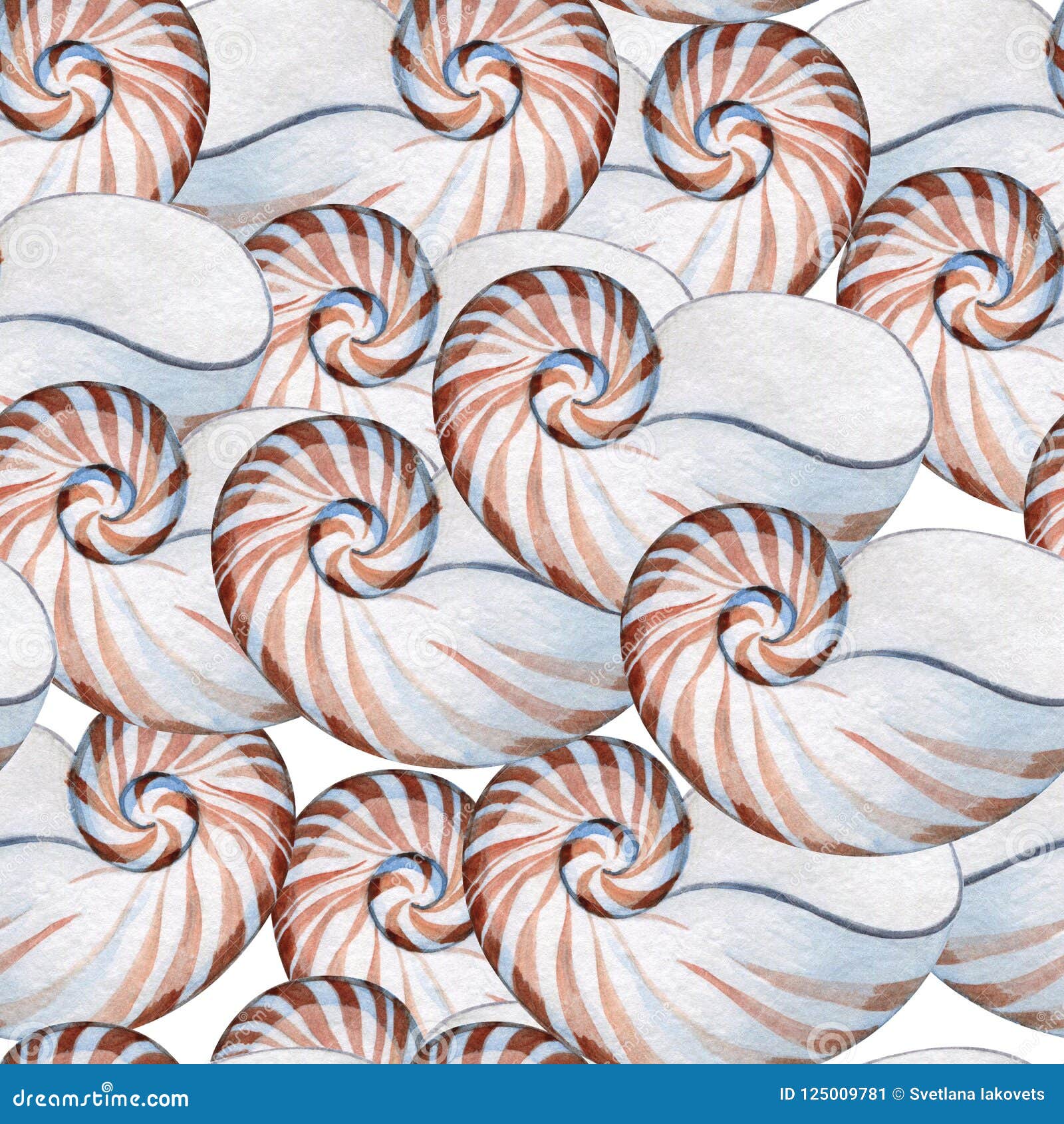 Seamless Watercolor Pattern of Seashells. Stock Illustration ...