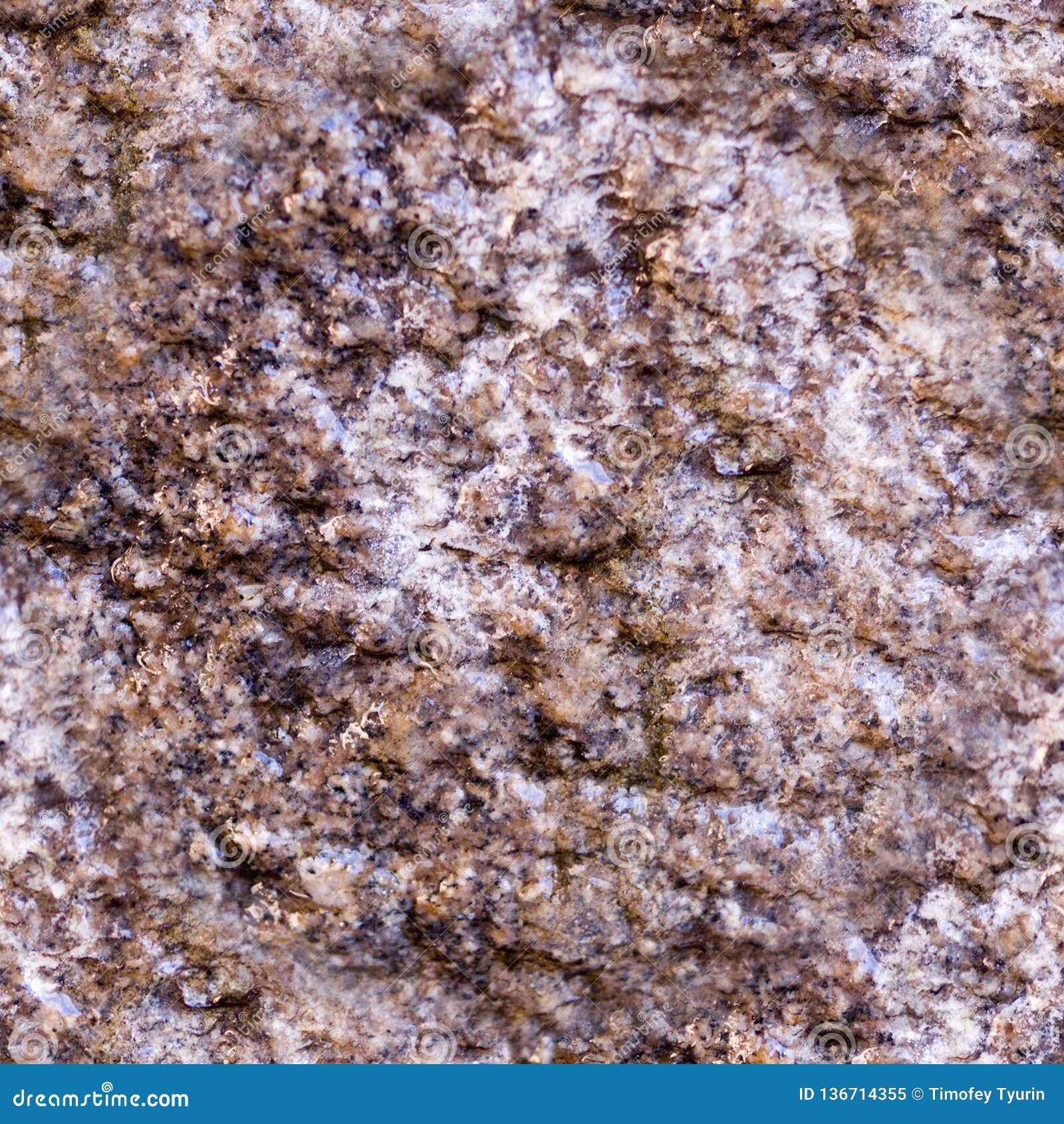 Cave Art Seamless Pattern Made Of Ancient Wild Animals, Horses And ...