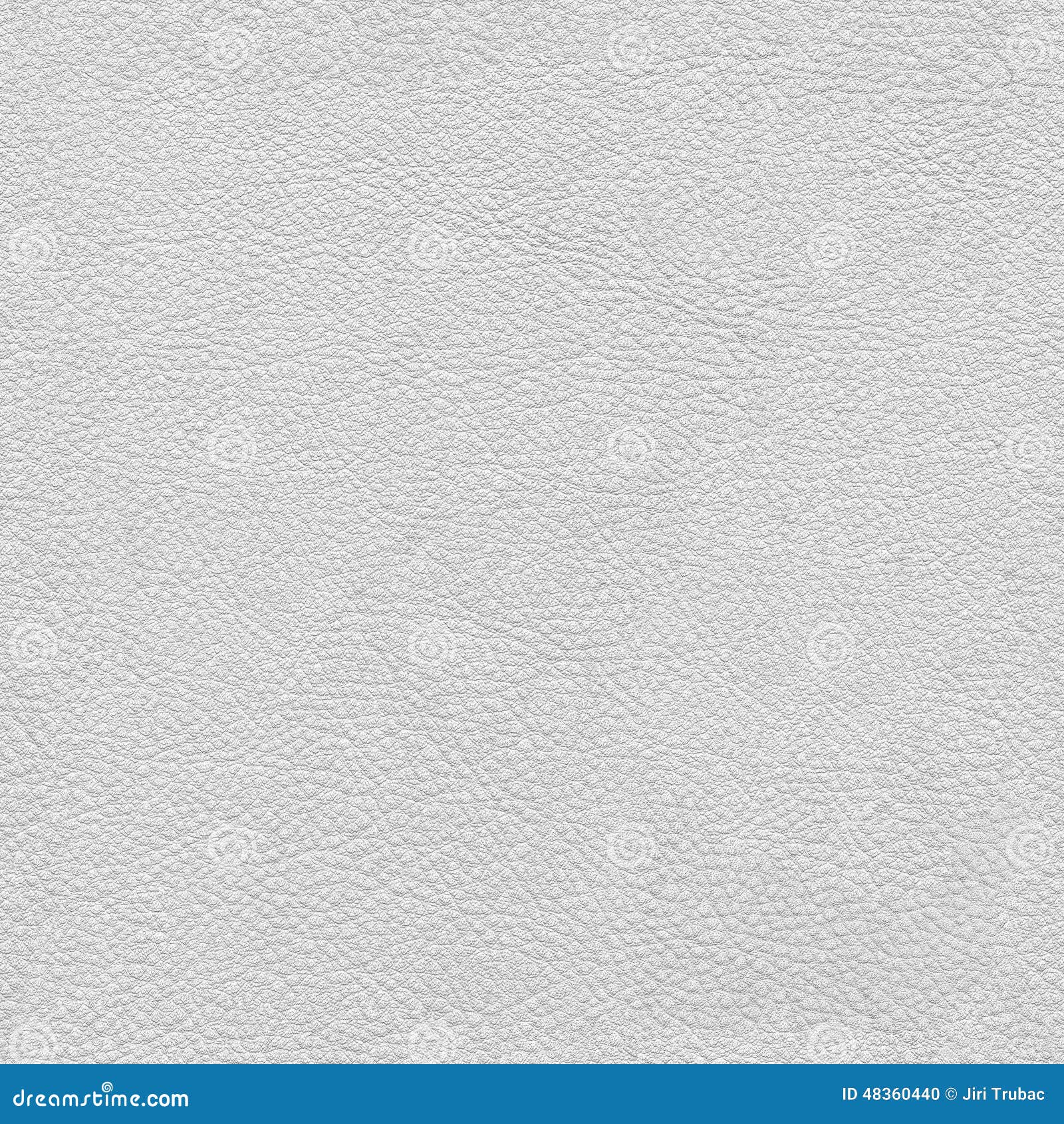 Seamless White Leather Texture for Background Stock Illustration ...