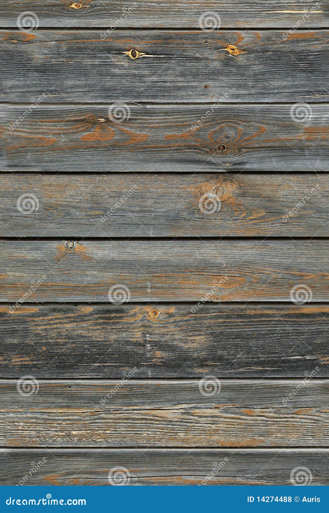 Seamless wood texture stock photo. Image of rough, hardwood - 14274488