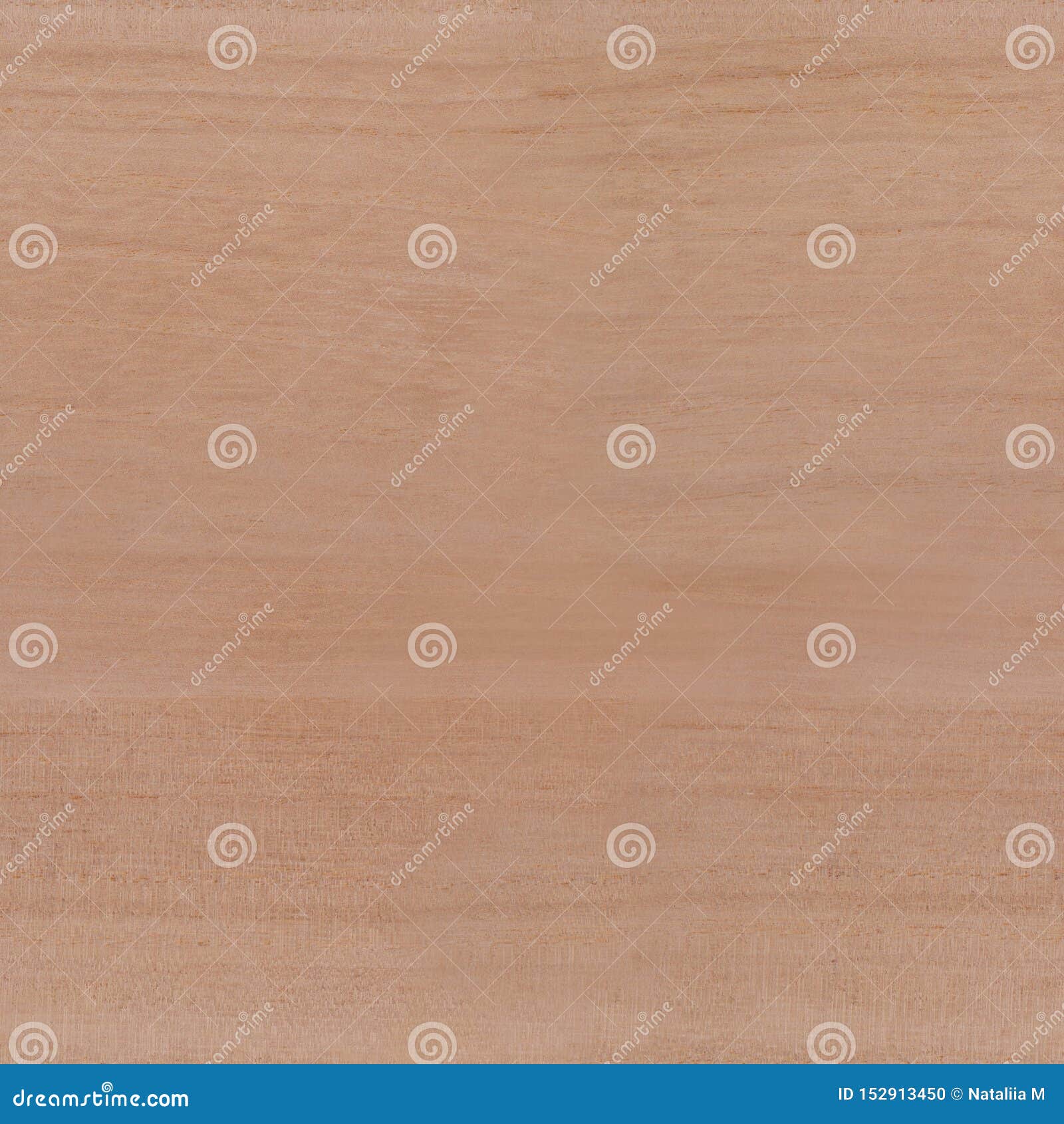 Seamless wood tree texture stock photo. Image of plywood - 152913450