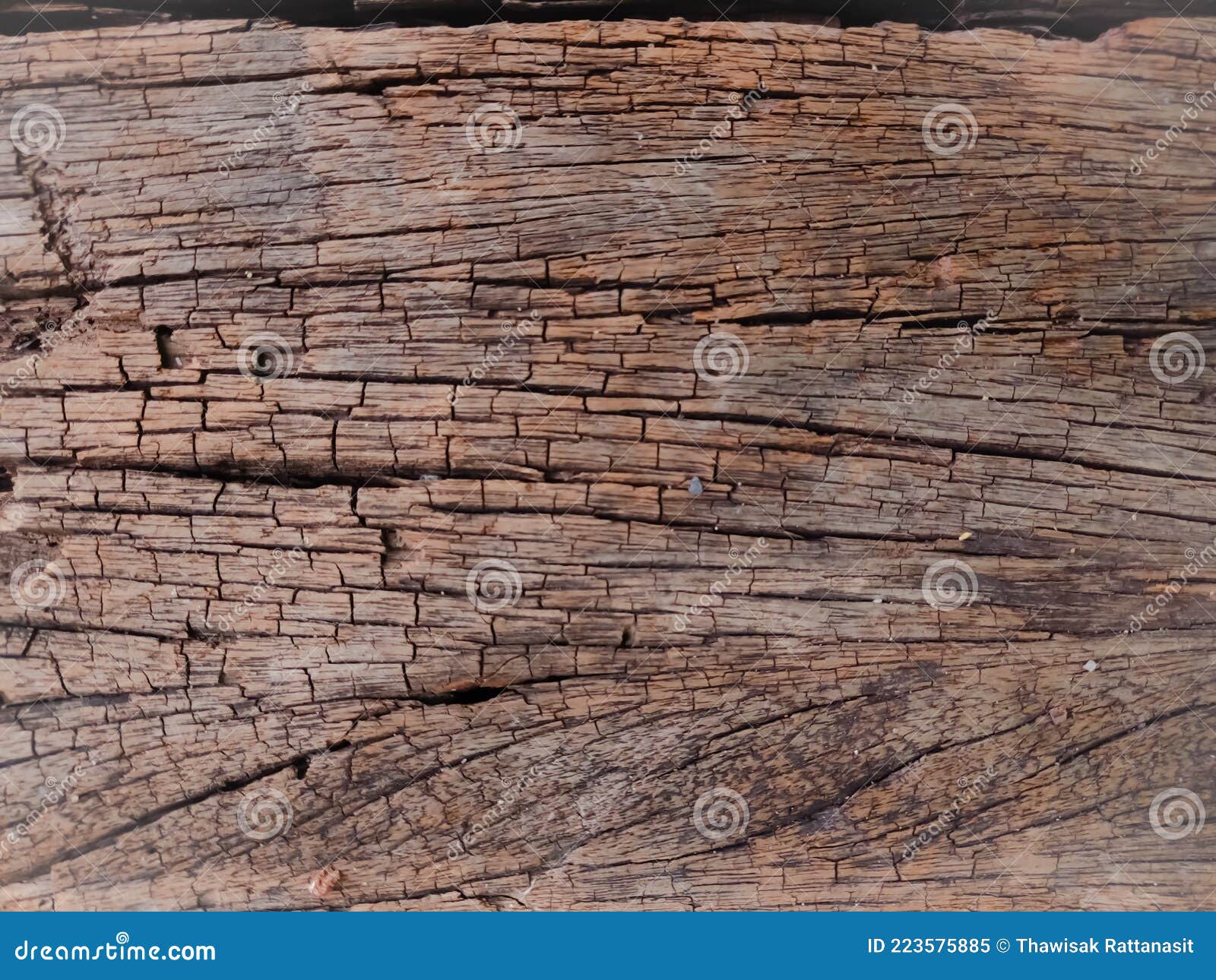 Seamless Wooden Surface with Pattern of Nature To Create Abstract ...