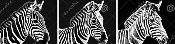 Seamless Zebra Pattern Set with Diagonal Lines on a Deco Background ...