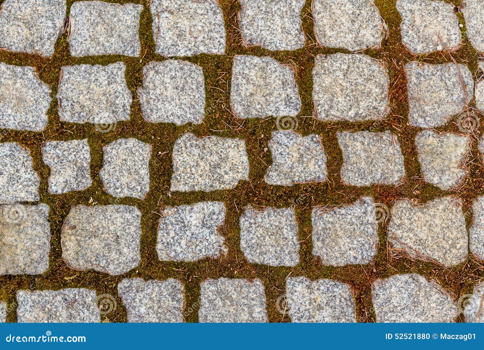 Seamlessly Tiling Cobbled Road Texture Stock Photo - Image of ...