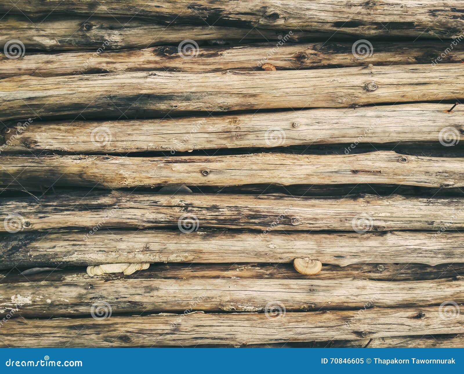 Seamlessly Tiling Cobbled Road Texture Royalty-Free Stock Image ...