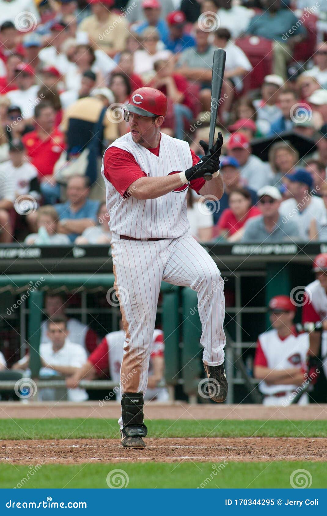 Sean Casey of the Cincinnati Reds Editorial Image - Image of game, 2003 ...