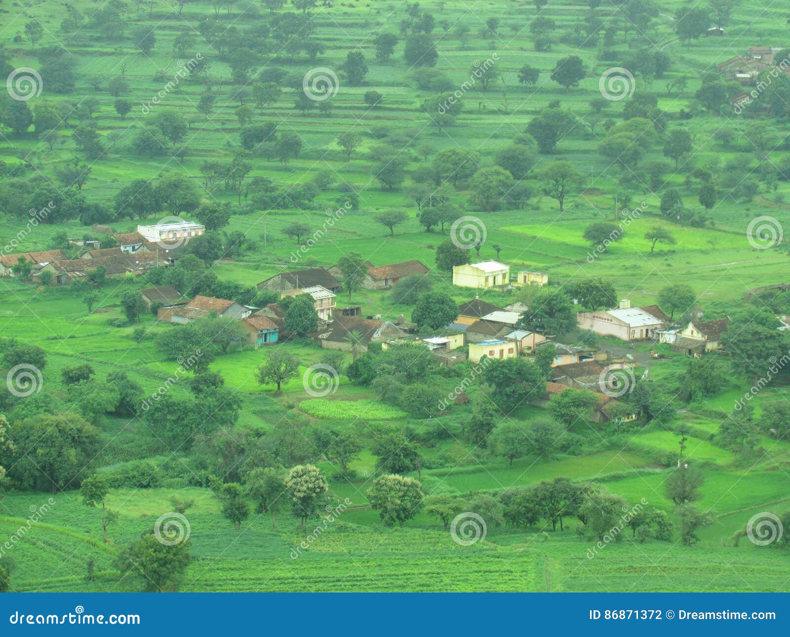Seanry stock photo. Image of environment, trees, fantastic - 86871372