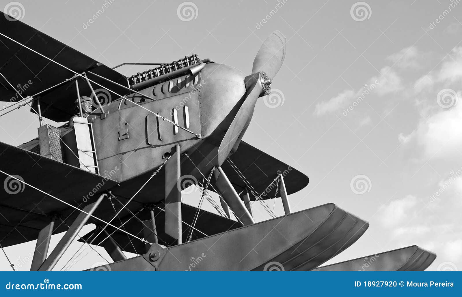 Seaplane Black and White stock photo. Image of model - 18927920