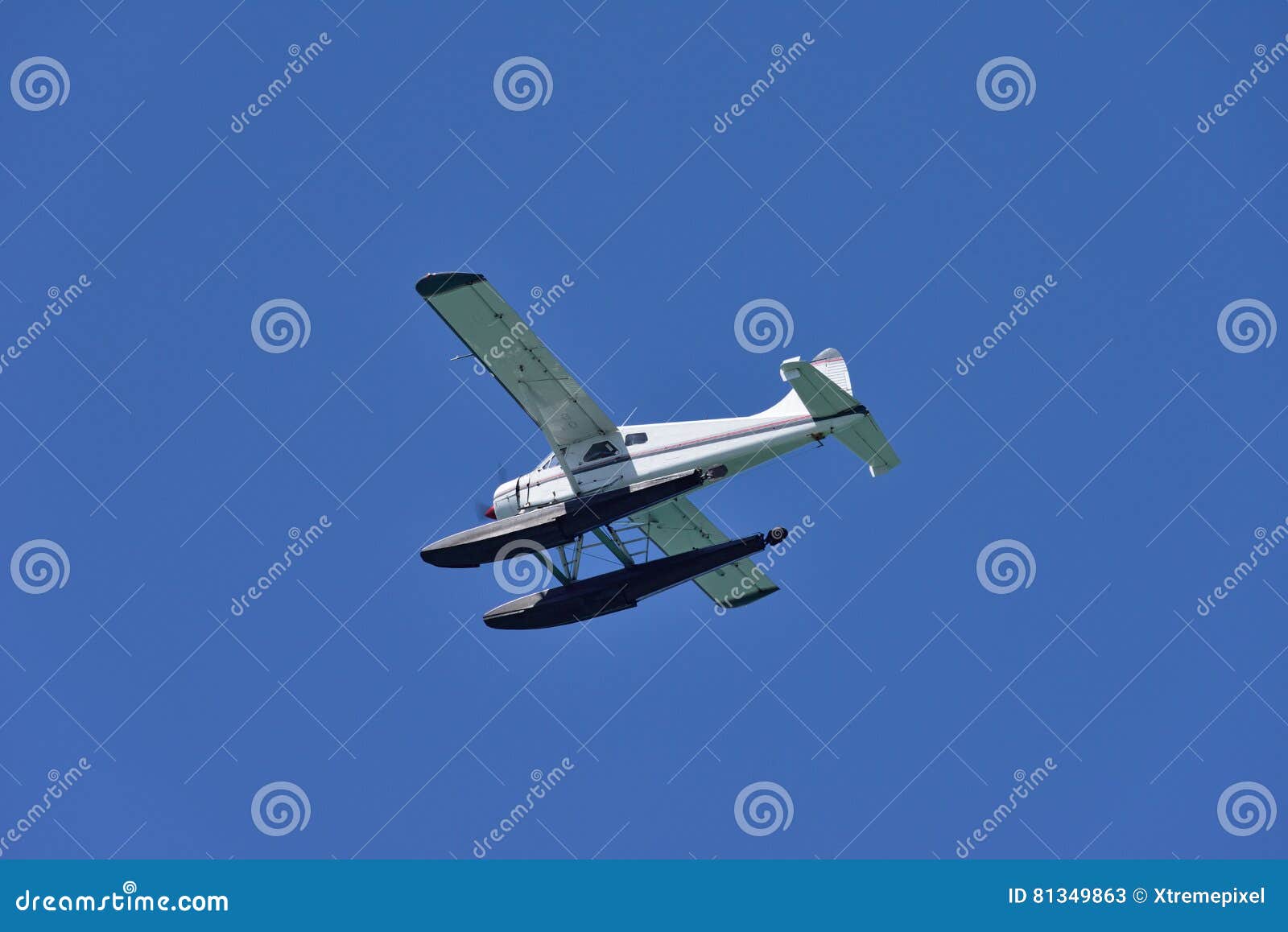 A seaplane in flight stock image. Image of travel, transport - 81349863