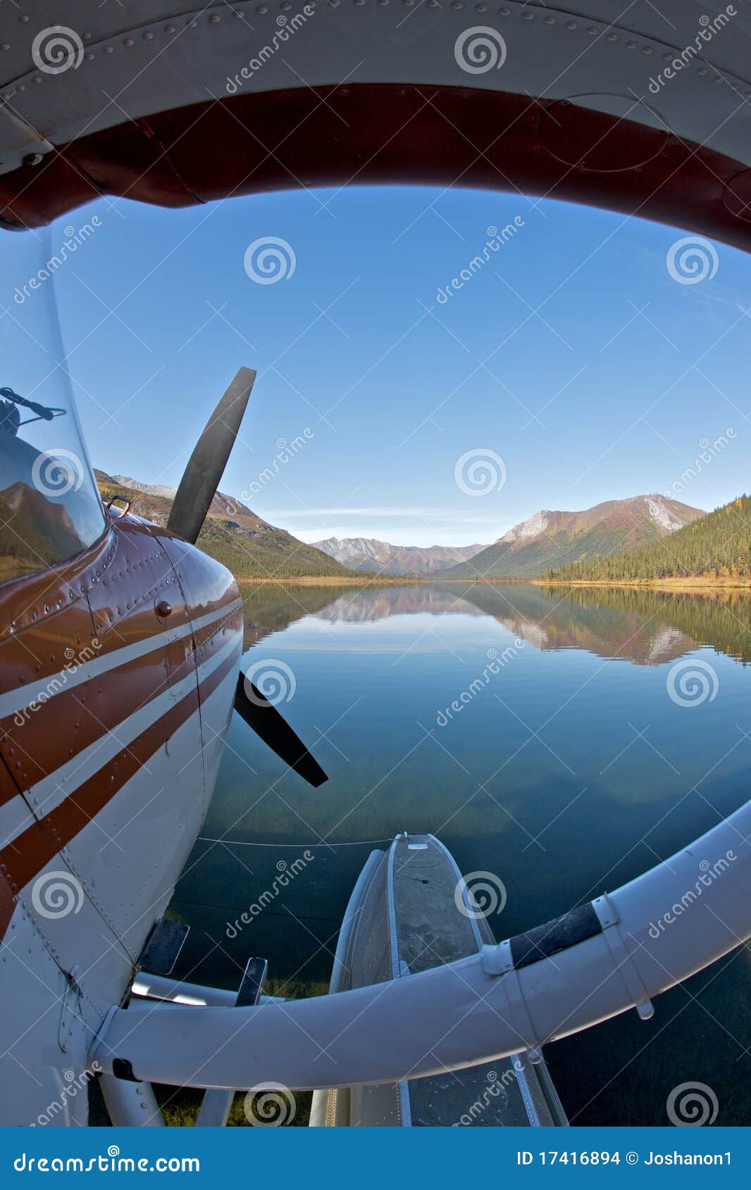 Seaplane Parked on a Lake stock photo. Image of foliage - 17416894
