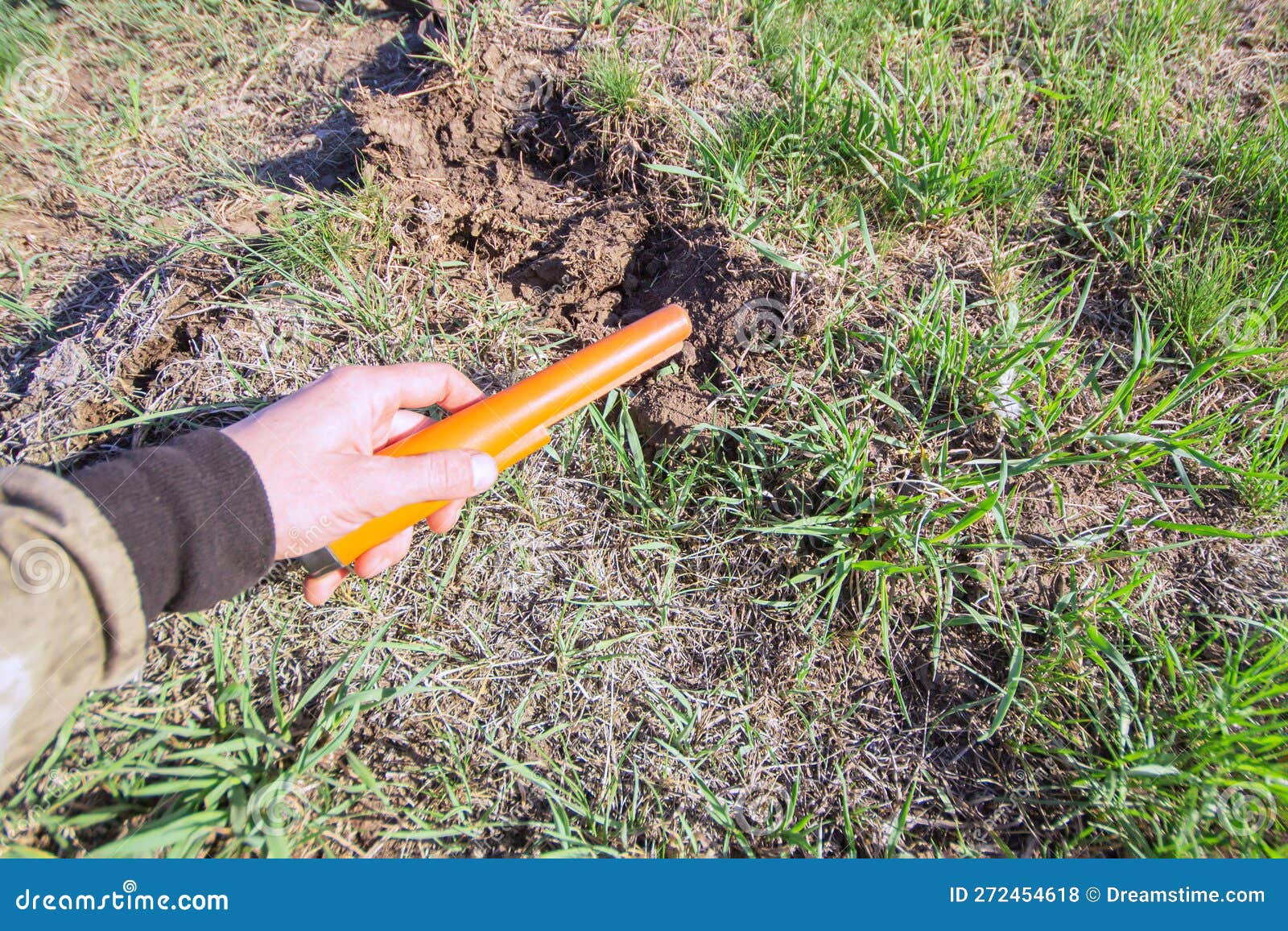 Search in the Ground for an Ancient Artifact, Using a Pinpointer To ...
