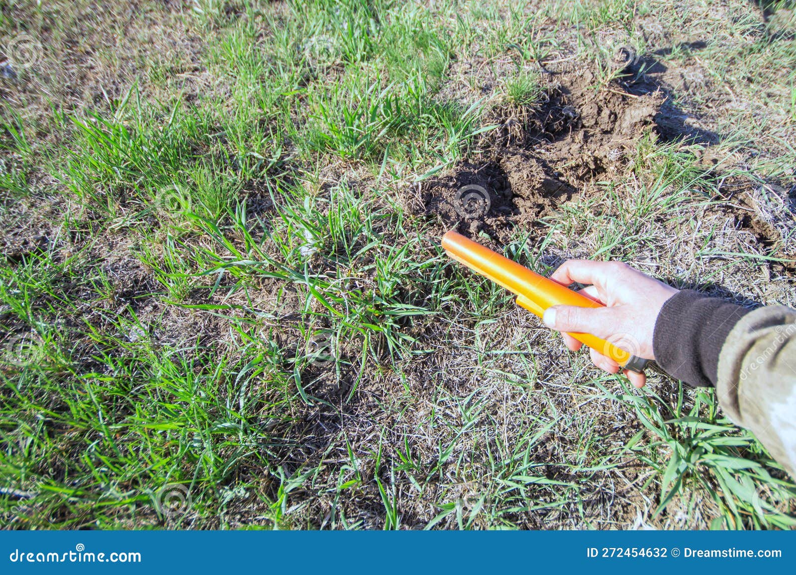 Search in the Ground for an Ancient Artifact, Using a Pinpointer To ...