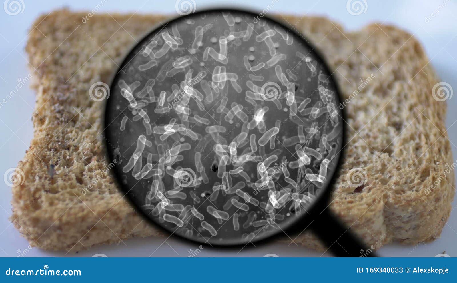 Searching for Bacteria in Bread Stock Video - Video of microscope ...