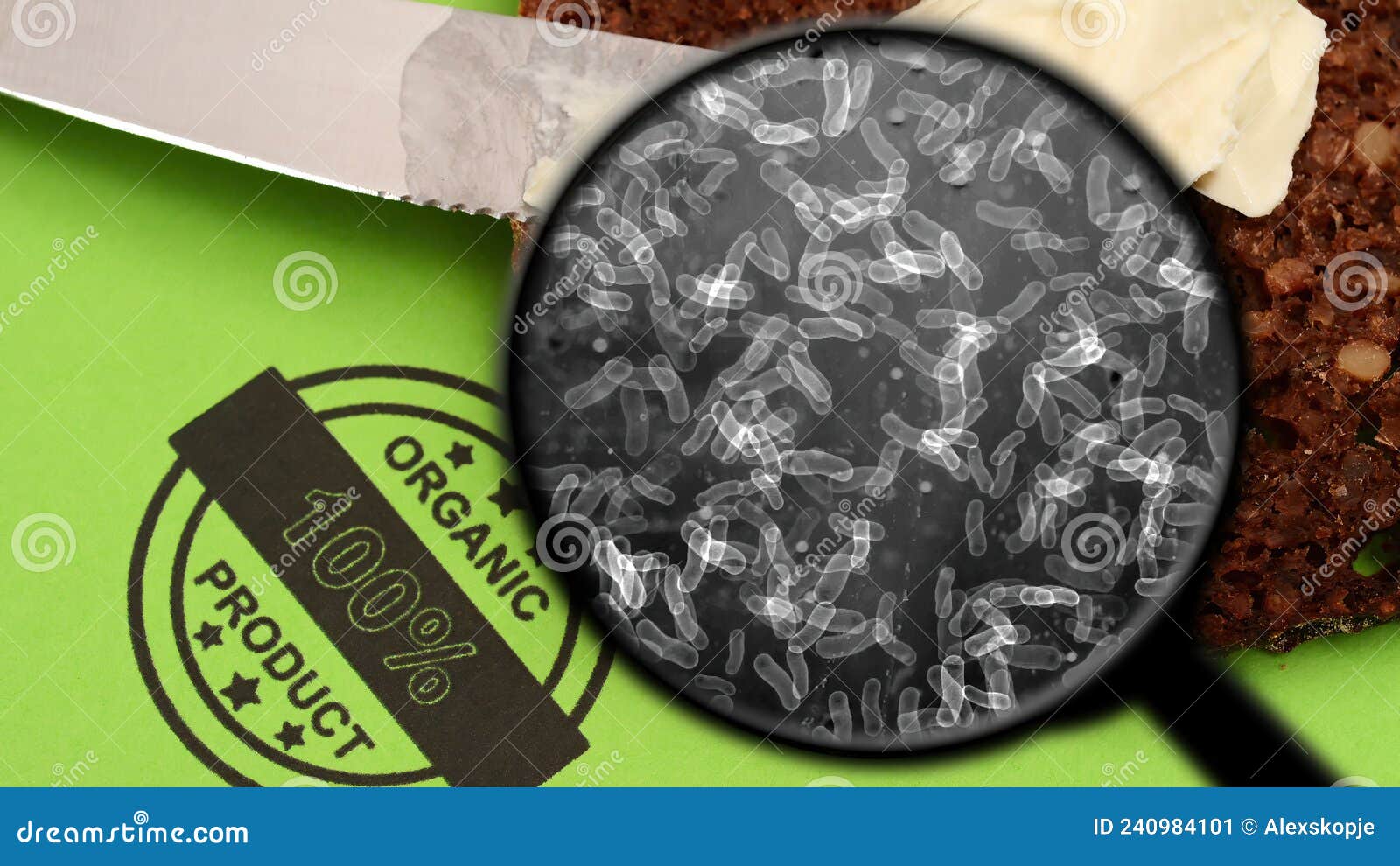 Searching for Bacteria in Bread Stock Image - Image of helicobacter ...