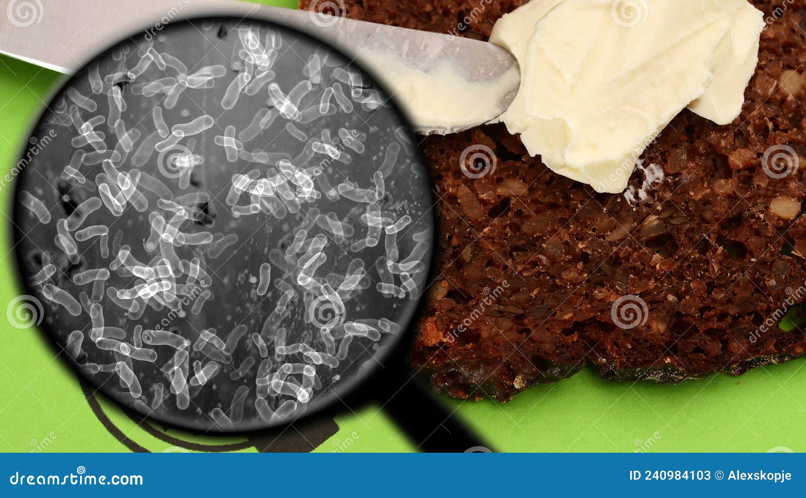Searching for Bacteria in Bread Stock Image - Image of bacteria, cicada ...