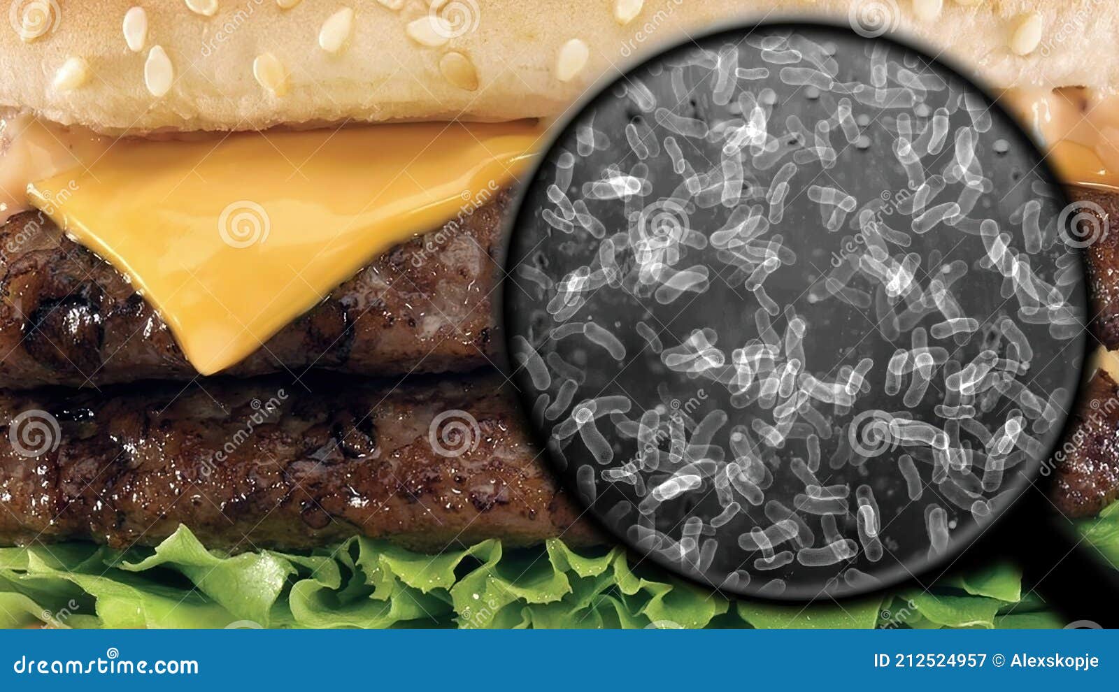 Searching for Bacteria in Burger Stock Image - Image of cell, cells ...