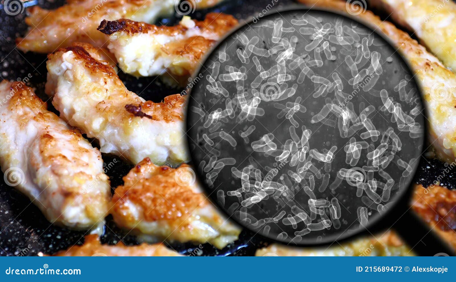 Searching for Bacteria in Chicken Meat Stock Photo - Image of ...