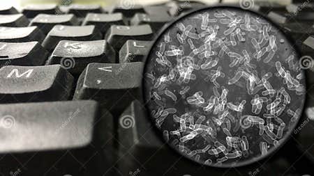 Searching for Bacteria on Computer Keyboard Stock Photo - Image of ...