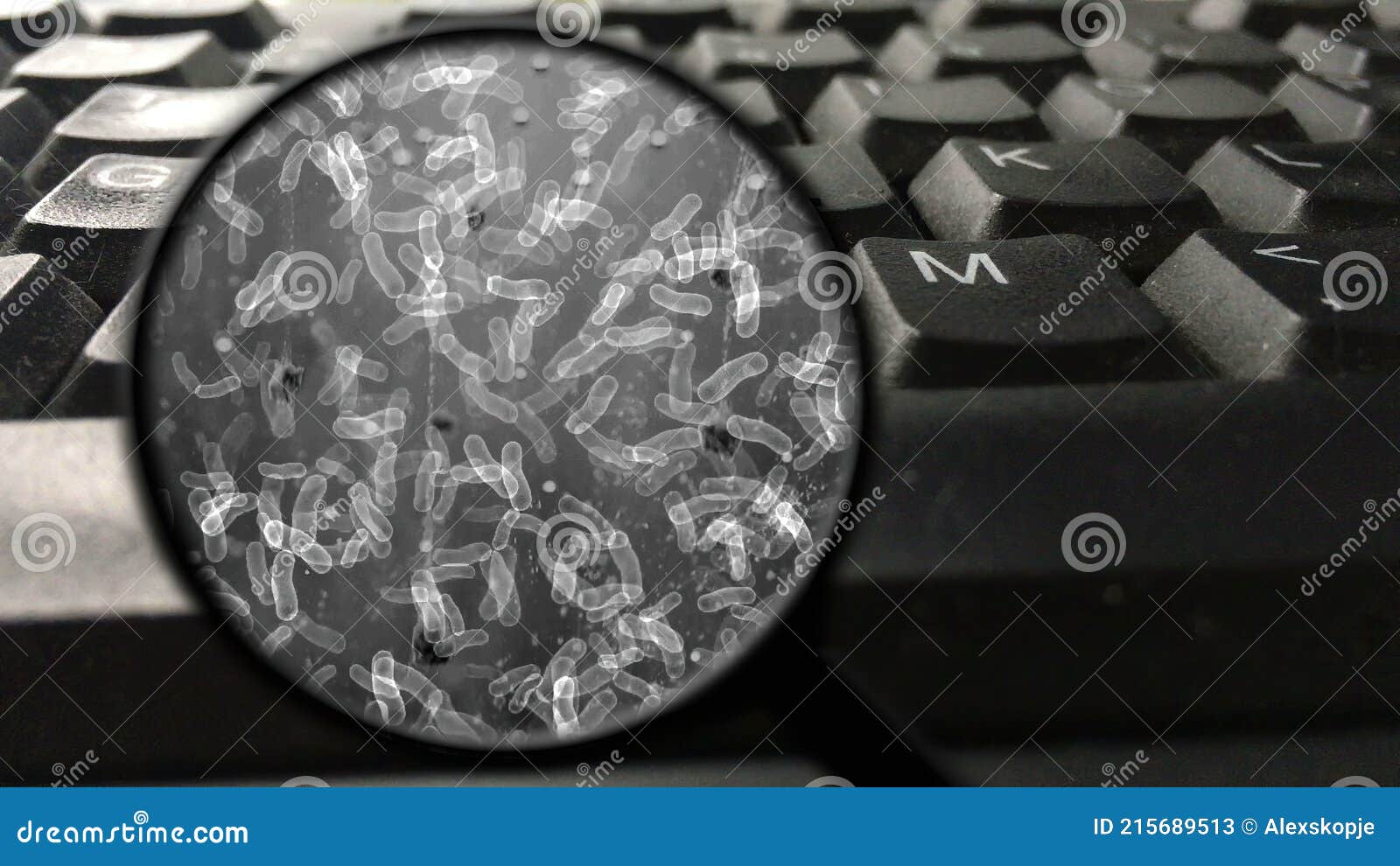 Searching for Bacteria on Computer Keyboard Stock Image - Image of ...