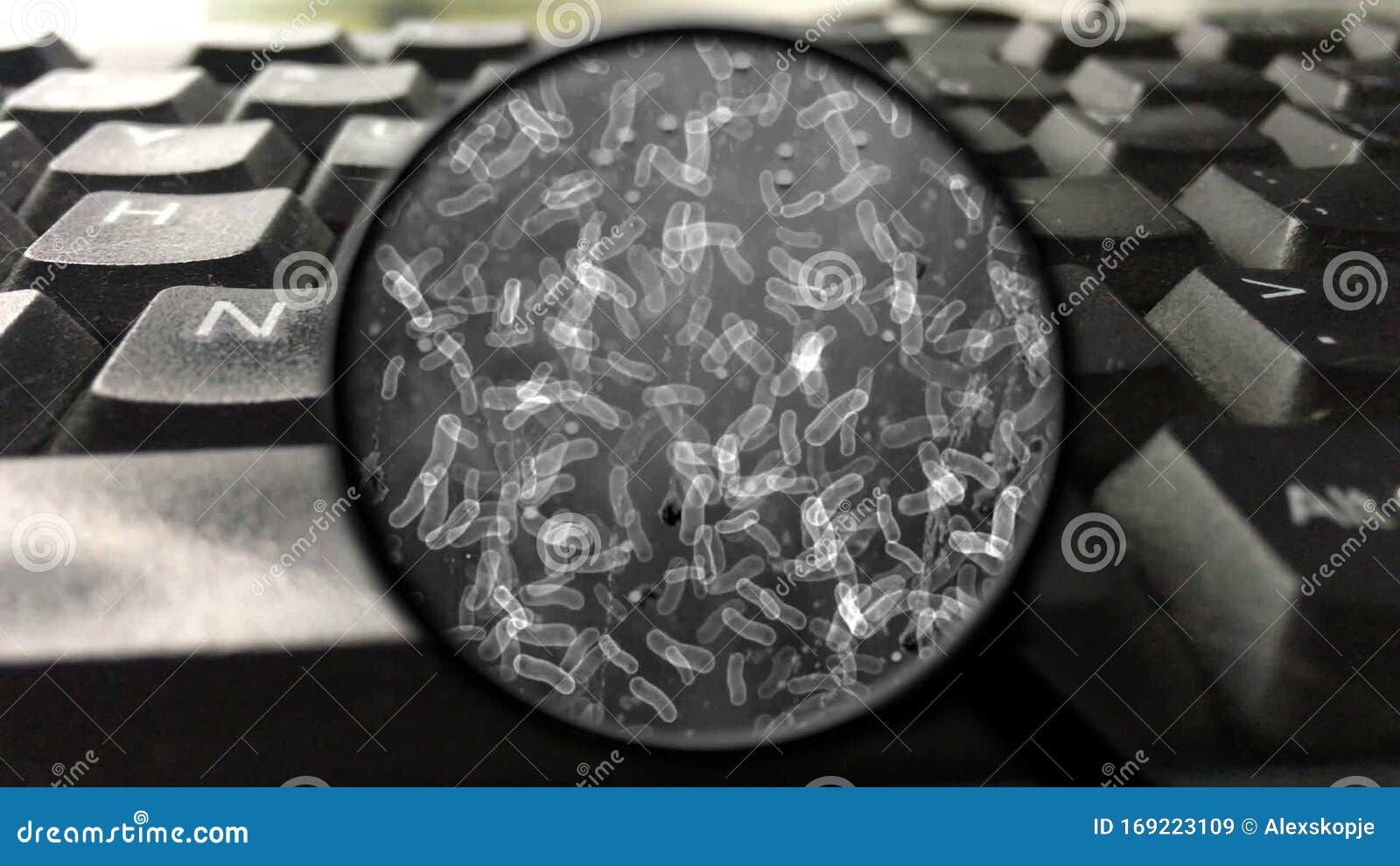 Searching for Bacteria on Computer Keyboard Stock Video - Video of ...