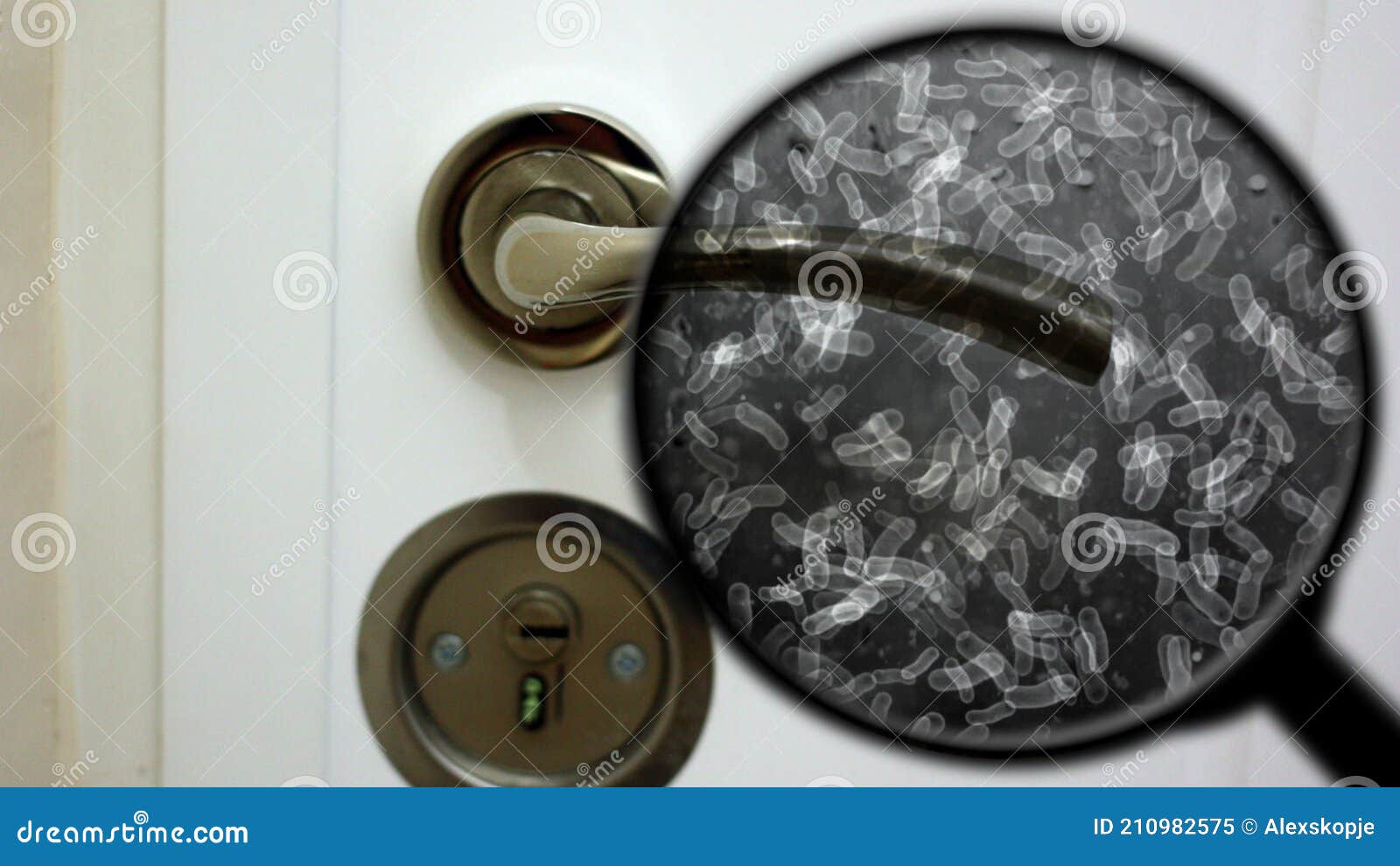 Searching for Bacteria on Door Knob Stock Image - Image of laboratory ...