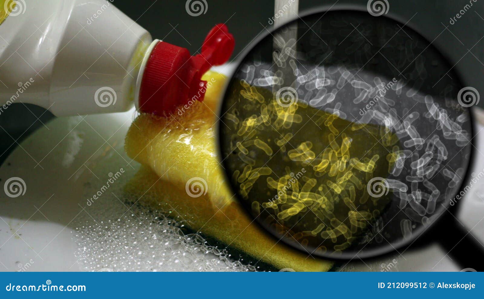 Searching for Bacteria in Kitchen Stock Photo - Image of poisoning ...
