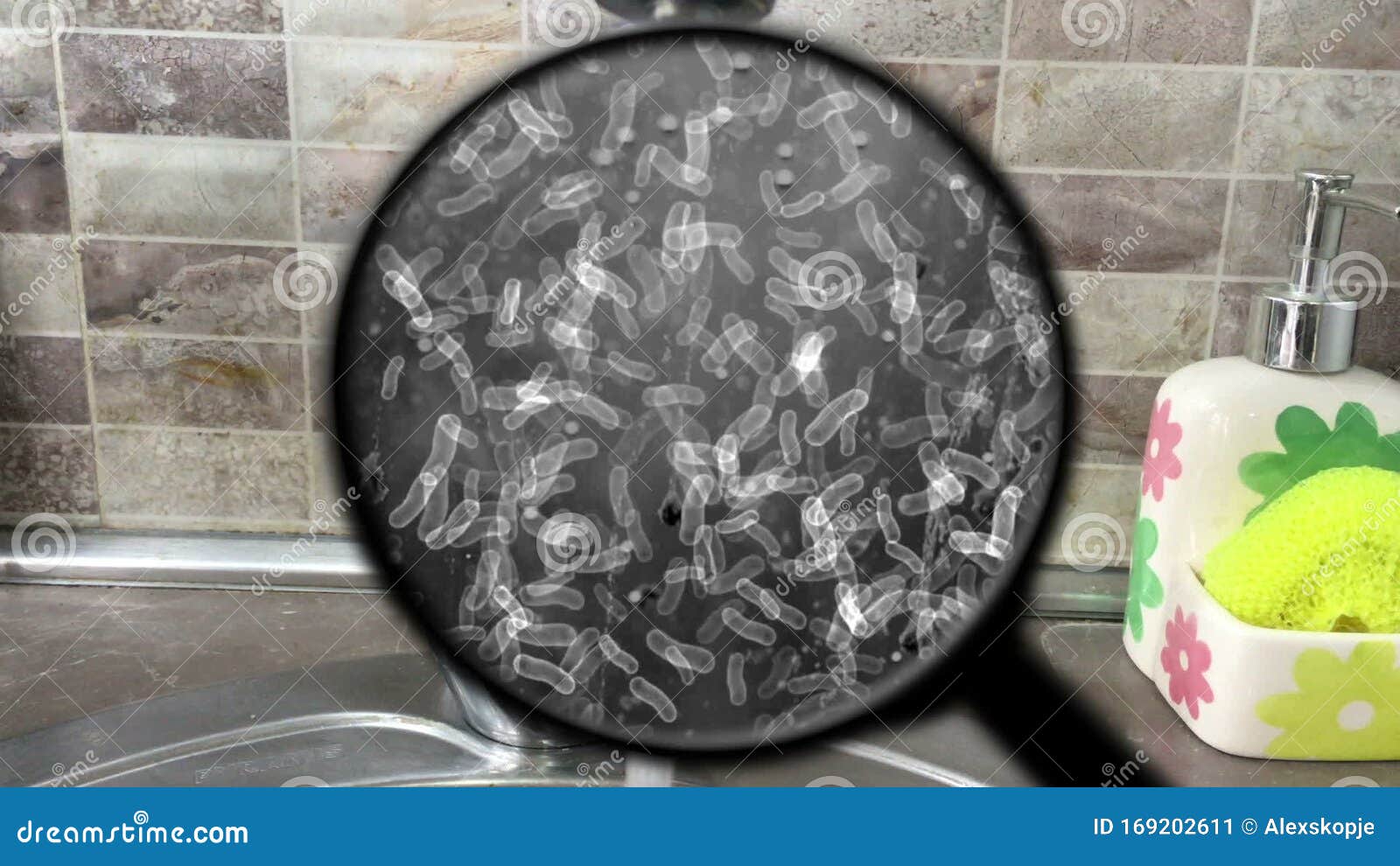 Searching for Bacteria in Kitchen Stock Video - Video of disease, gram ...