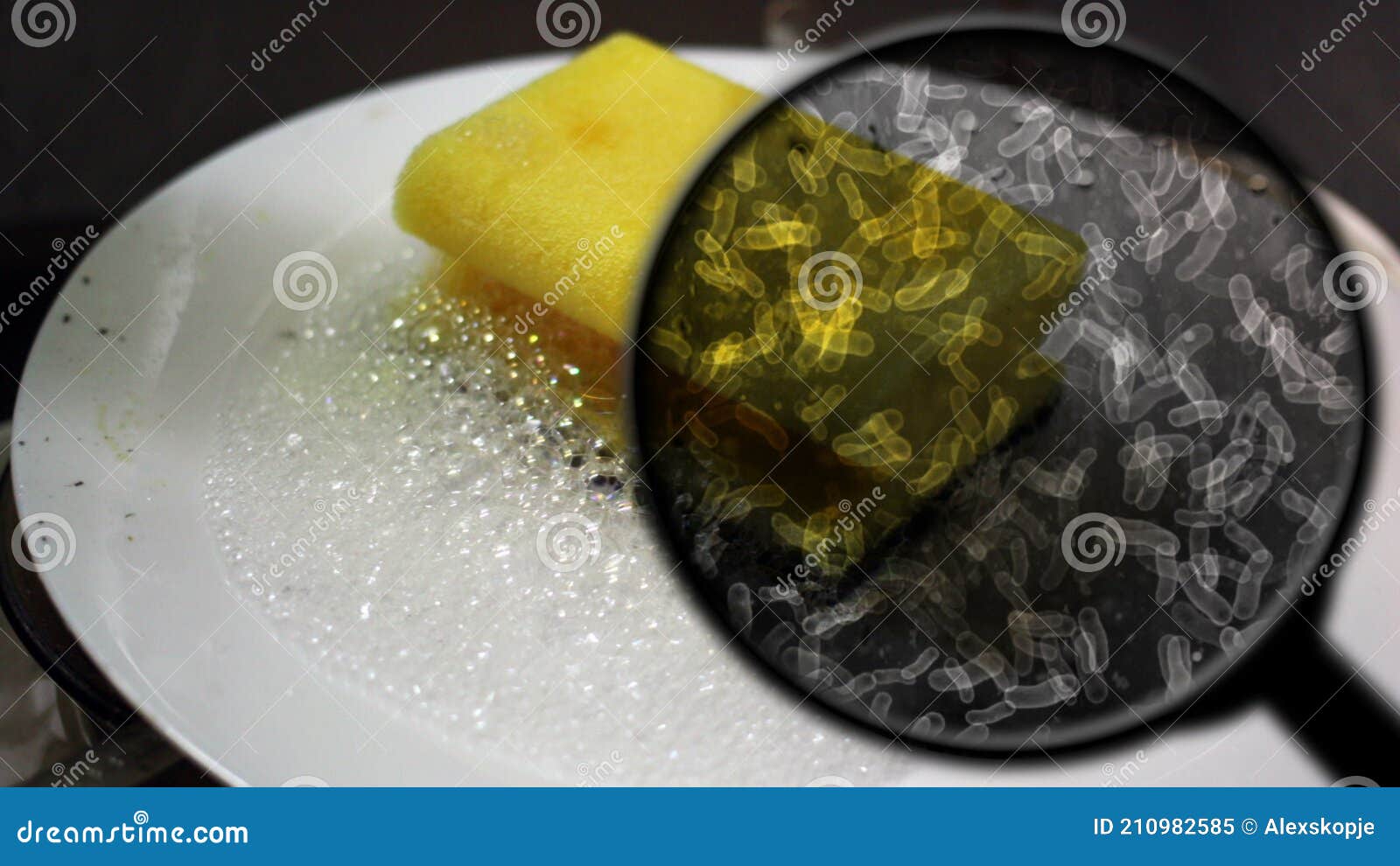 Searching for Bacteria in Kitchen Stock Image - Image of germs, health ...