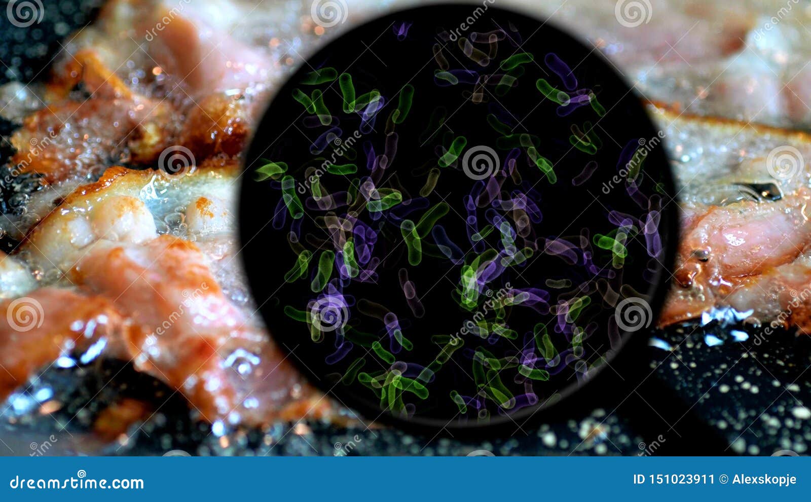 Searching for Bacteria in Meat Stock Image - Image of additives, beef ...