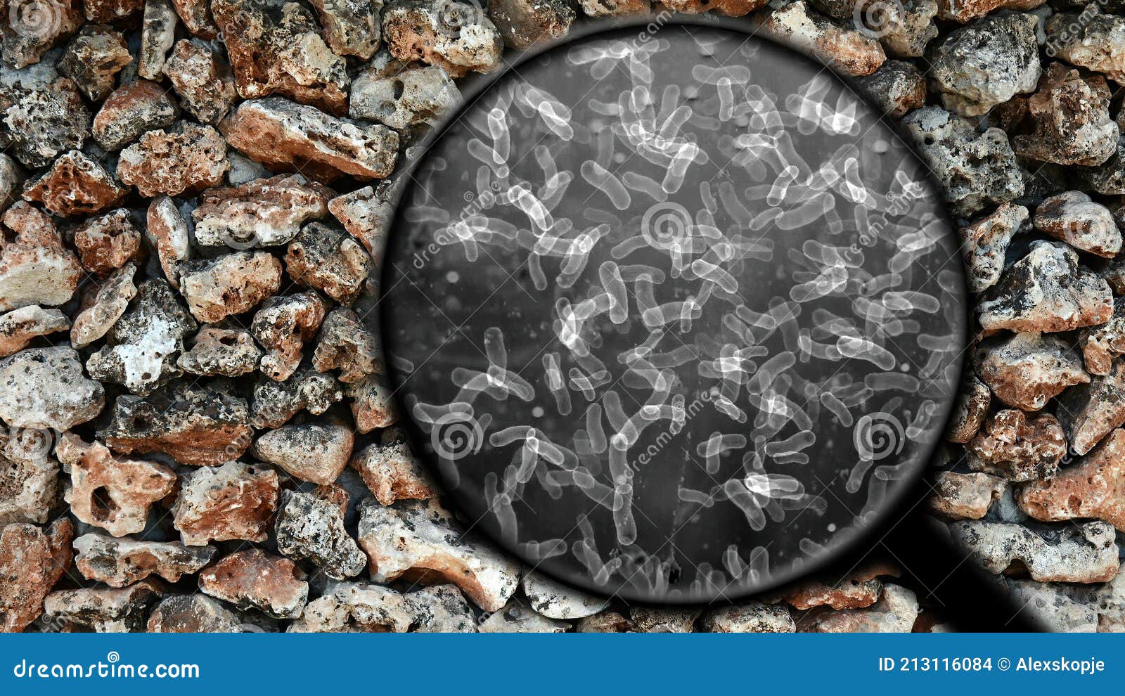 Searching for Bacteria on Surface Stock Photo - Image of microscope ...