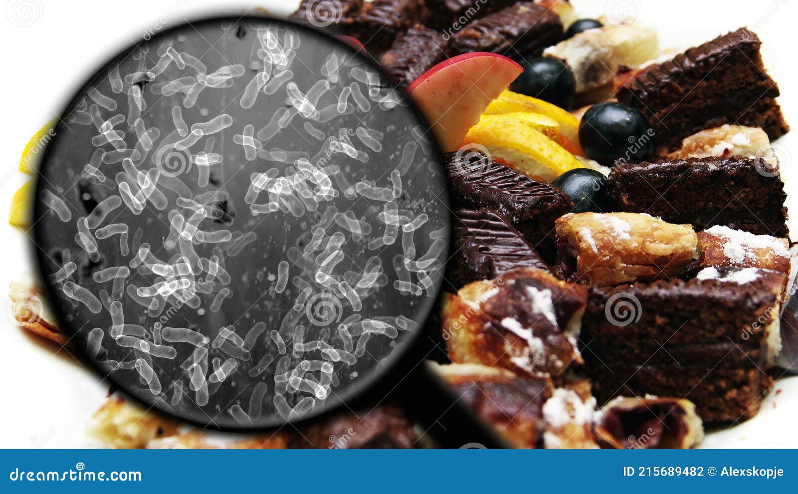 Searching for Bacteria in Sweets Stock Photo - Image of helical ...