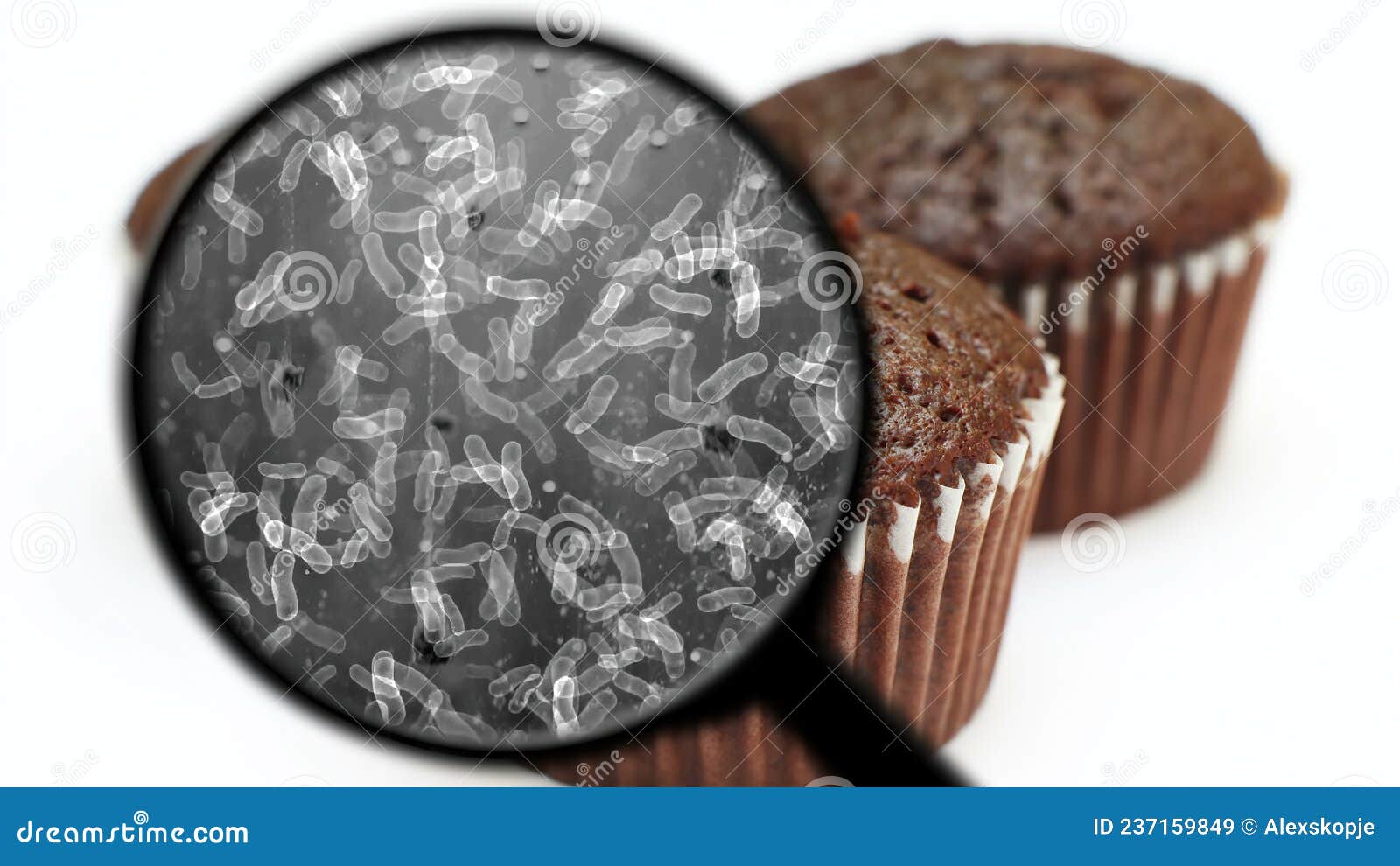 Searching for Bacteria in Sweets Stock Image - Image of biological ...
