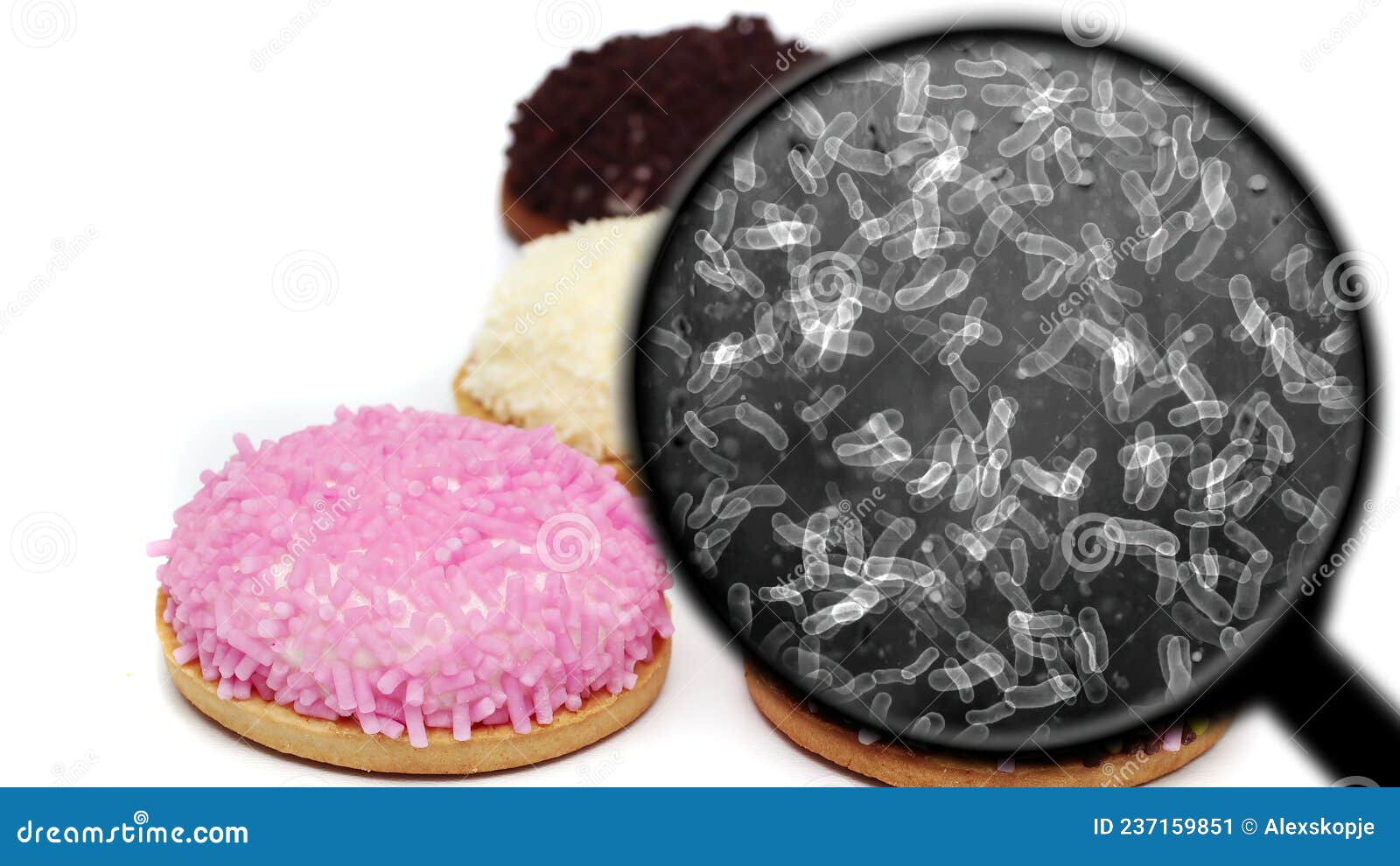 Searching for Bacteria in Sweets Stock Image - Image of flagella ...
